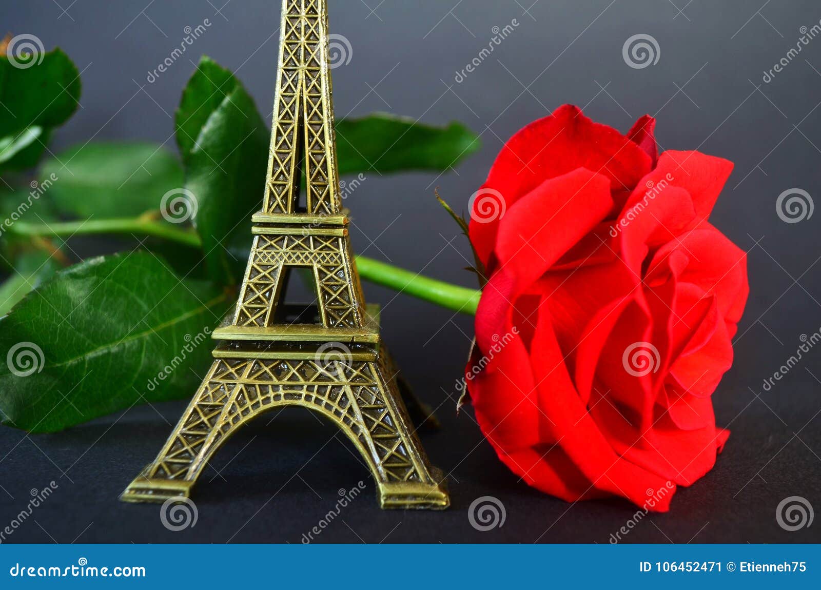 Happy Valentines Day. Red Rose and the Eiffel Tower. Stock Image - Image of background, text ...