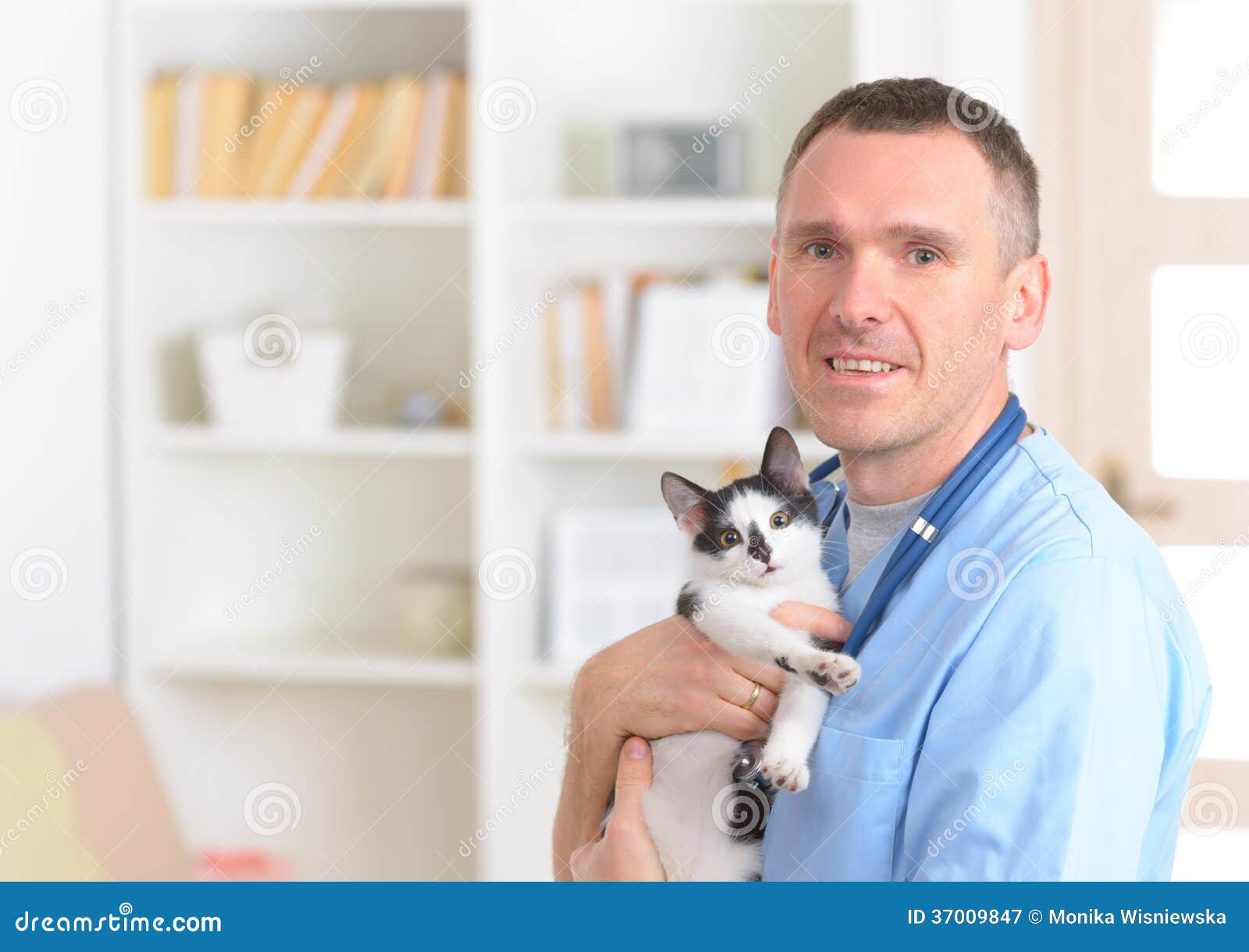 Happy vet with cat stock image. Image of instrument, domestic - 37009847