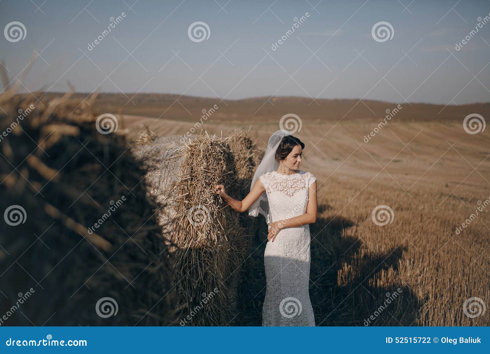 Happy Wedding Couple in a Field Stock Photo - Image of bride, beauty ...