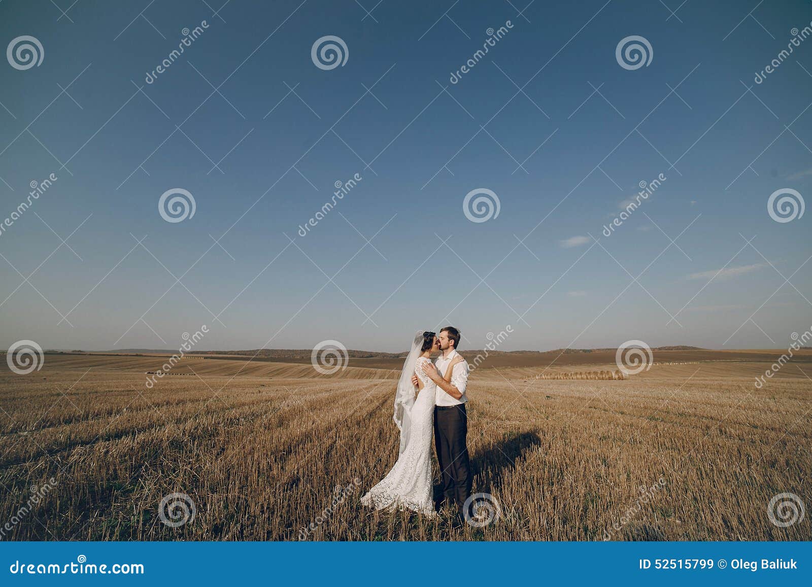 Happy Wedding Couple in a Field Stock Image - Image of couple, newlywed ...