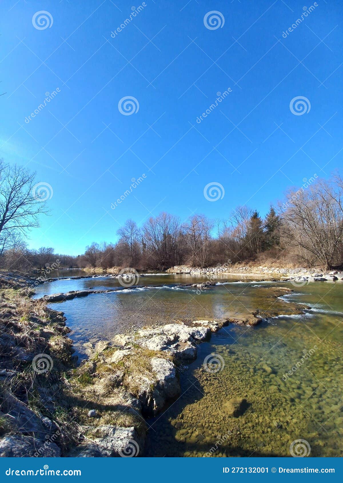 Happy on the Weekend with Nature Stock Image - Image of nature, plant ...