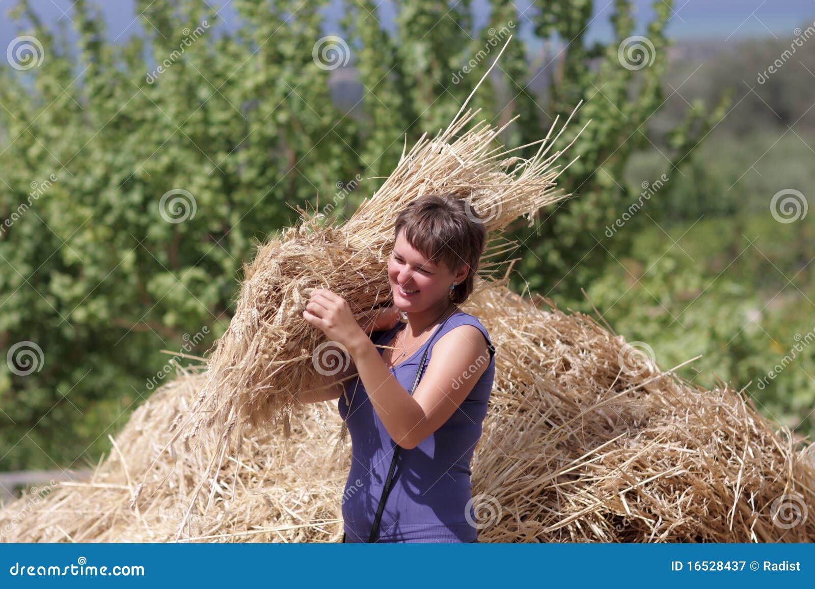 Happy Woman with Armful of Wheat Stock Image - Image of cereal ...