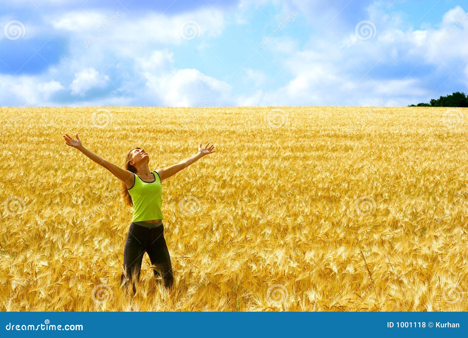 Happy woman and freedom stock photo. Image of grass, nature - 1001118