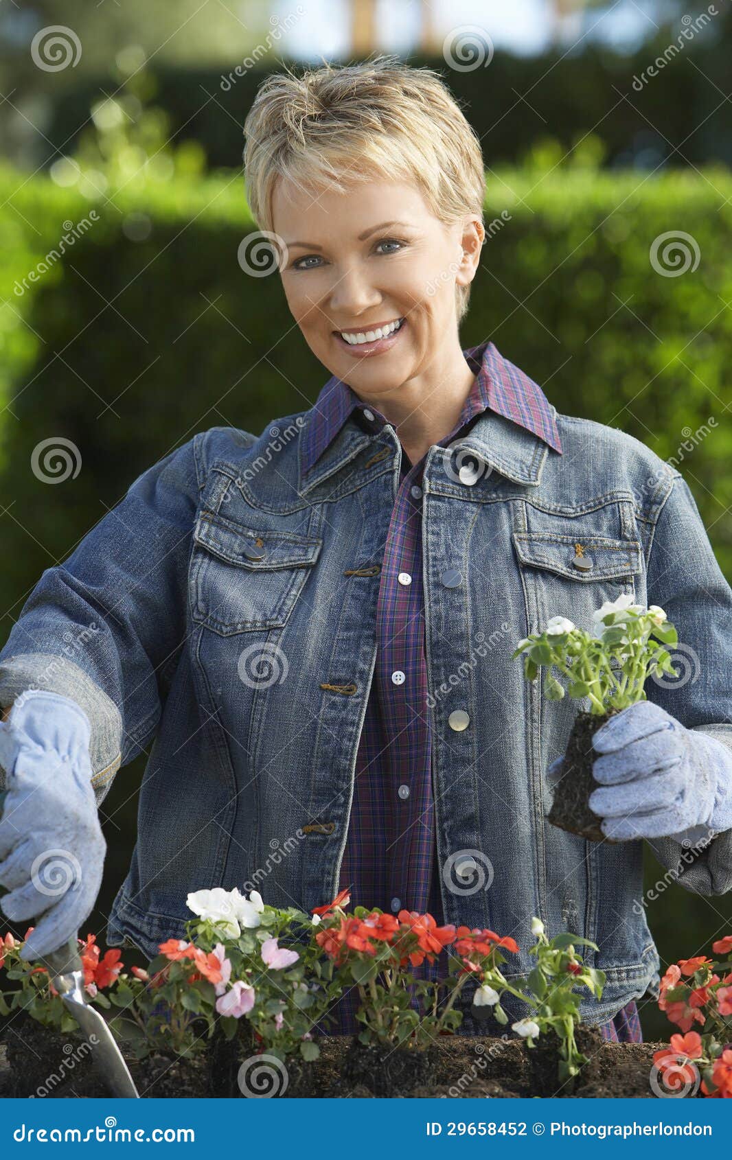 Happy Woman Gardening stock photo. Image of hobby, holding - 29658452