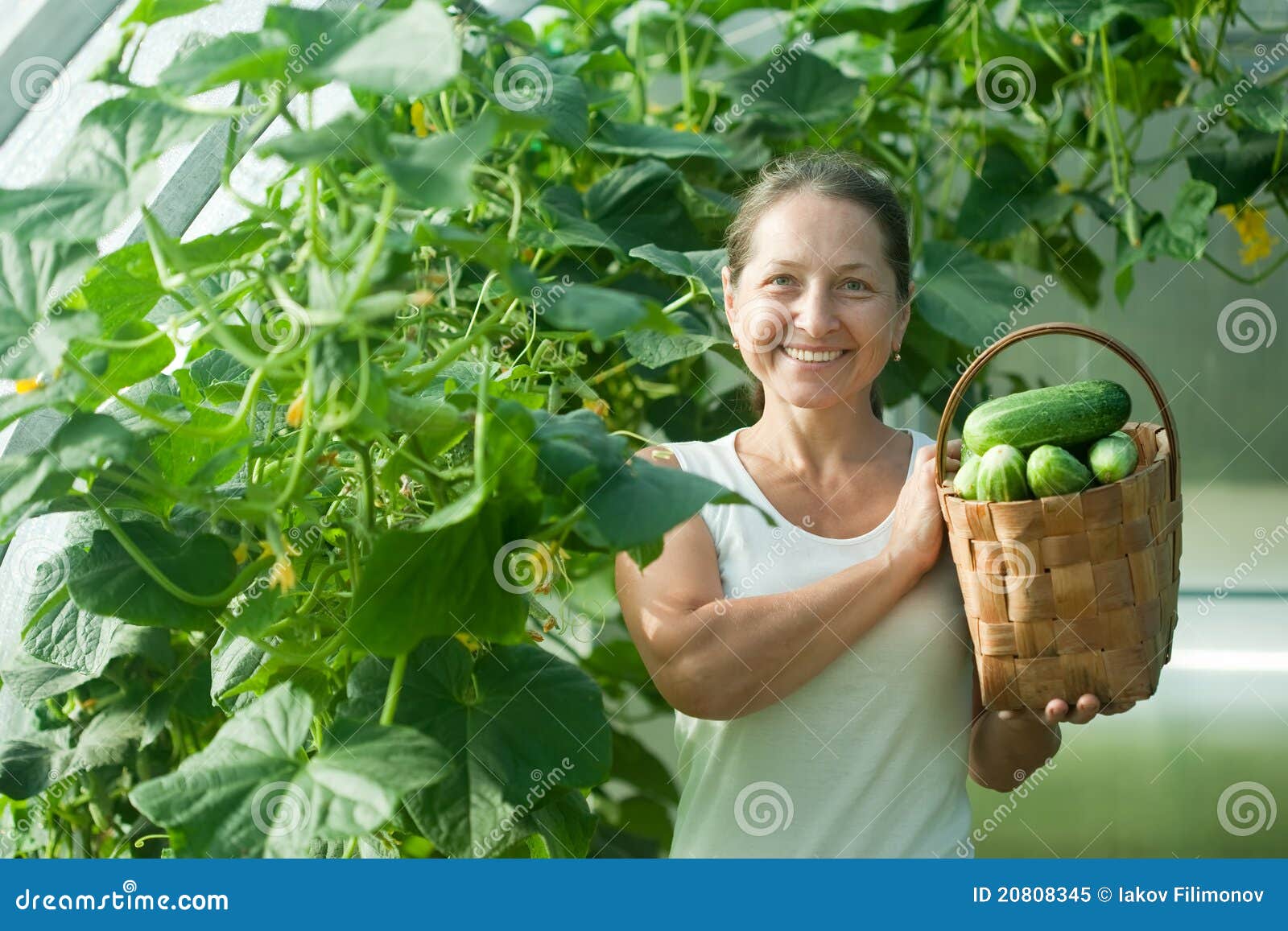 Happy Woman with Harvested Cucumbers Stock Image - Image of health ...