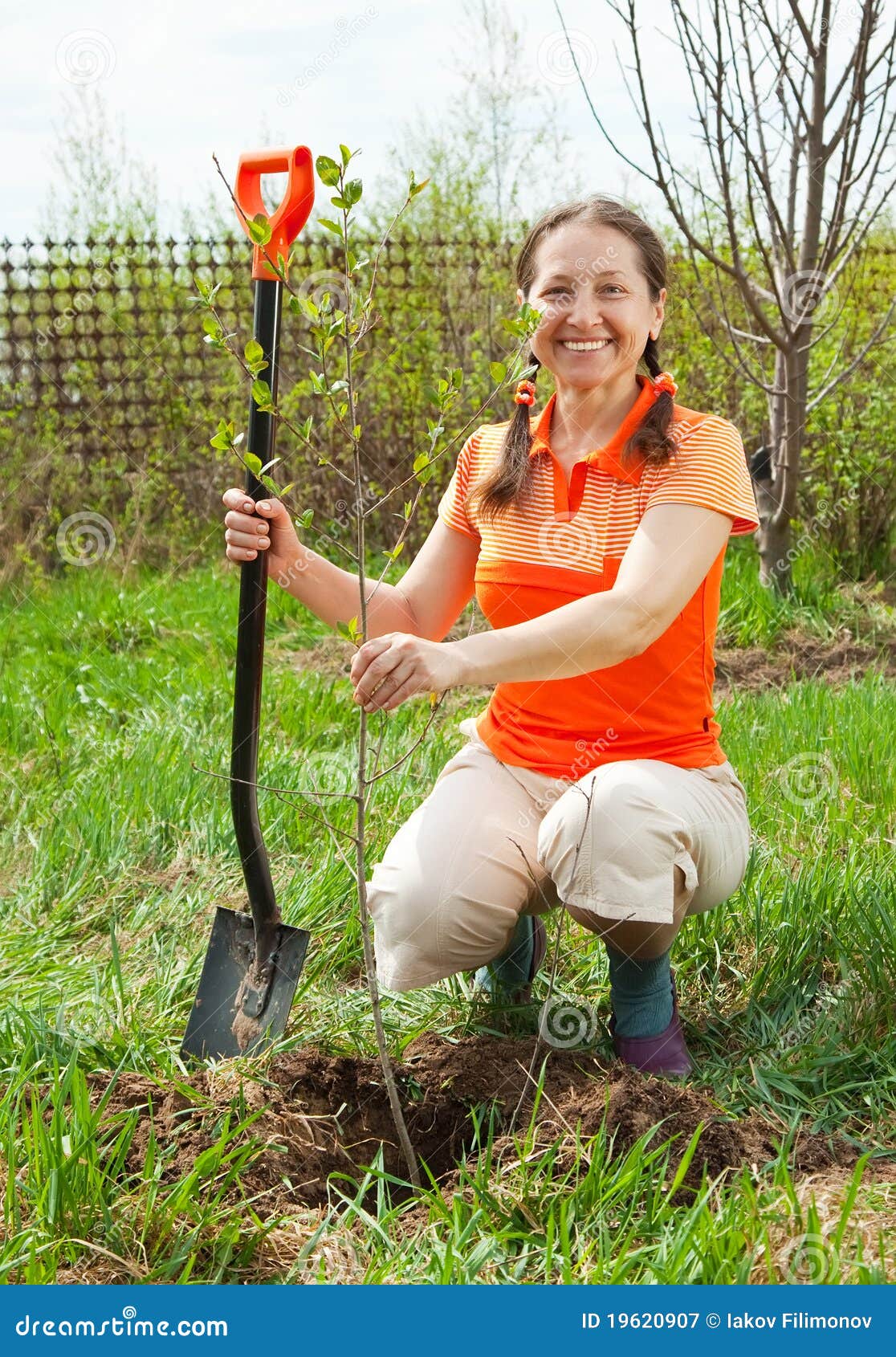 Happy Woman Planting Fruit Tree Stock Image - Image of people, planting ...