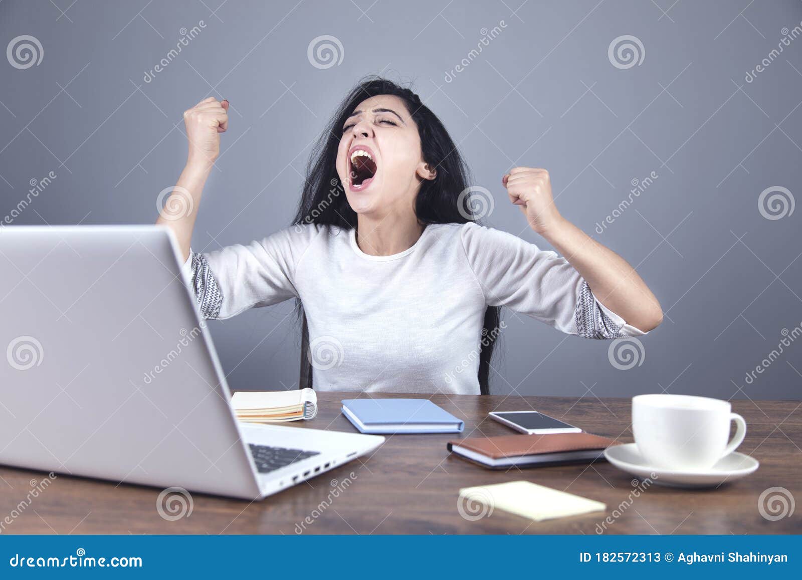 Happy Woman Working Computer Stock Image - Image of business, lifestyle ...