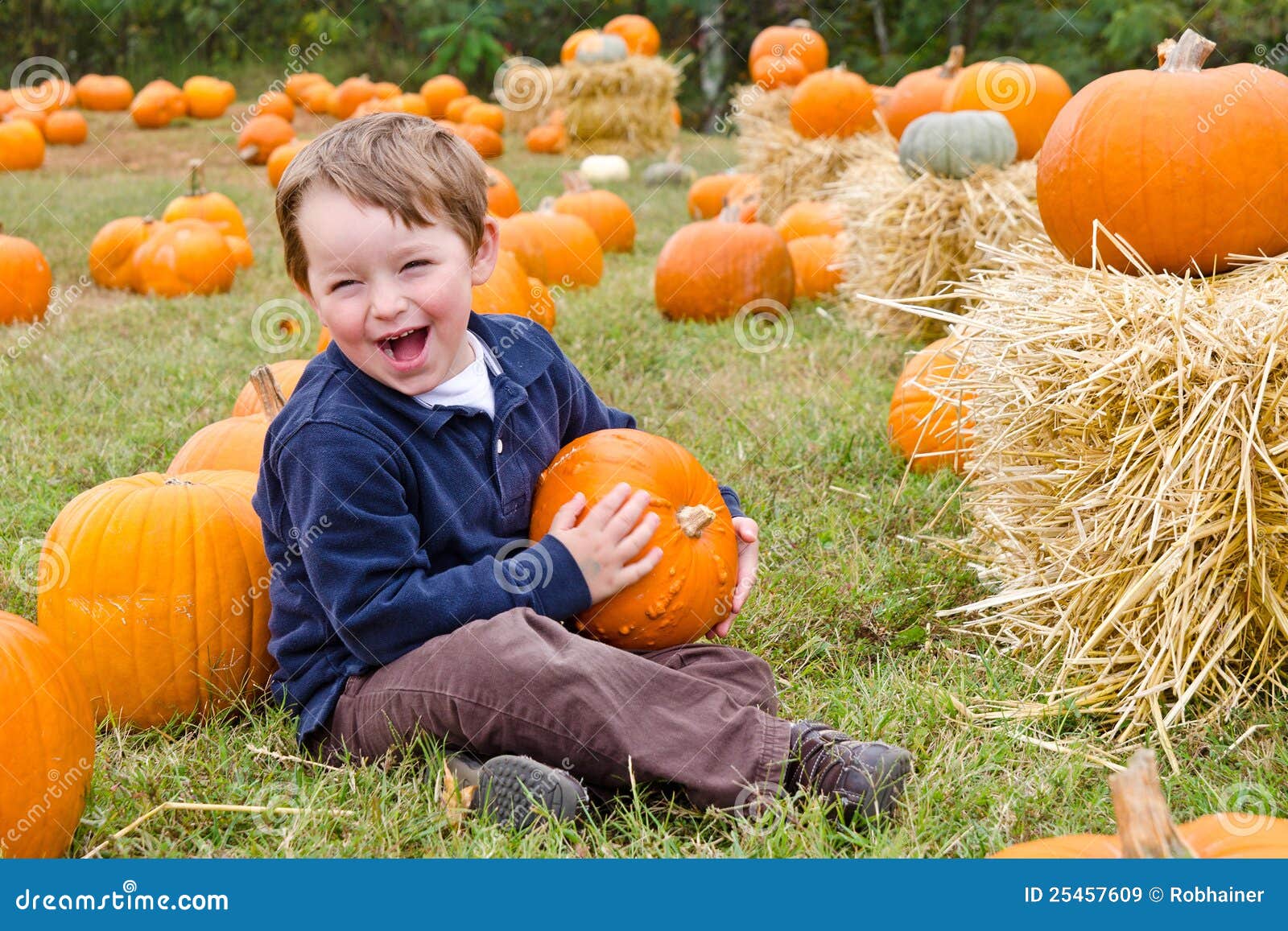 Happy Young Boy Picking a Pumpkin Stock Image - Image of little, enjoy ...