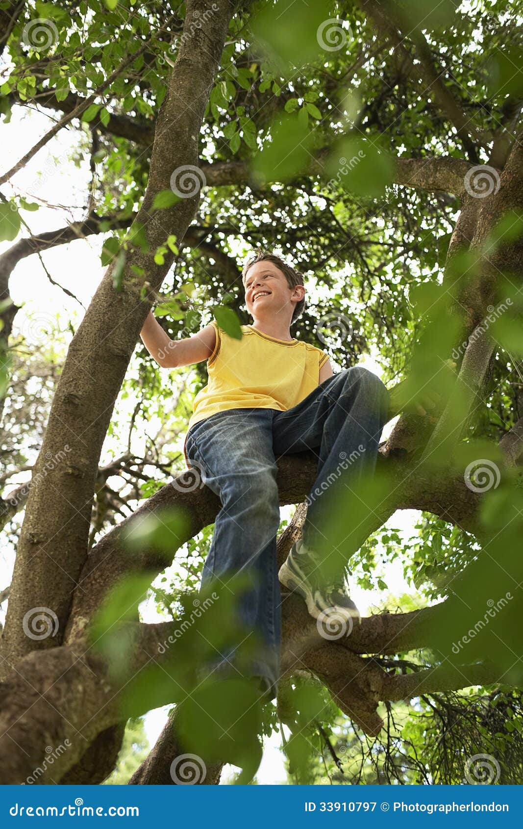 Happy Young Boy Sitting on Tree Branch Stock Image - Image of children ...