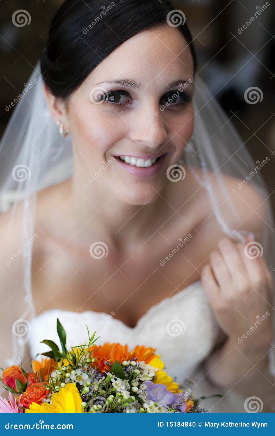Happy young bride face stock photo. Image of happiness - 15184840