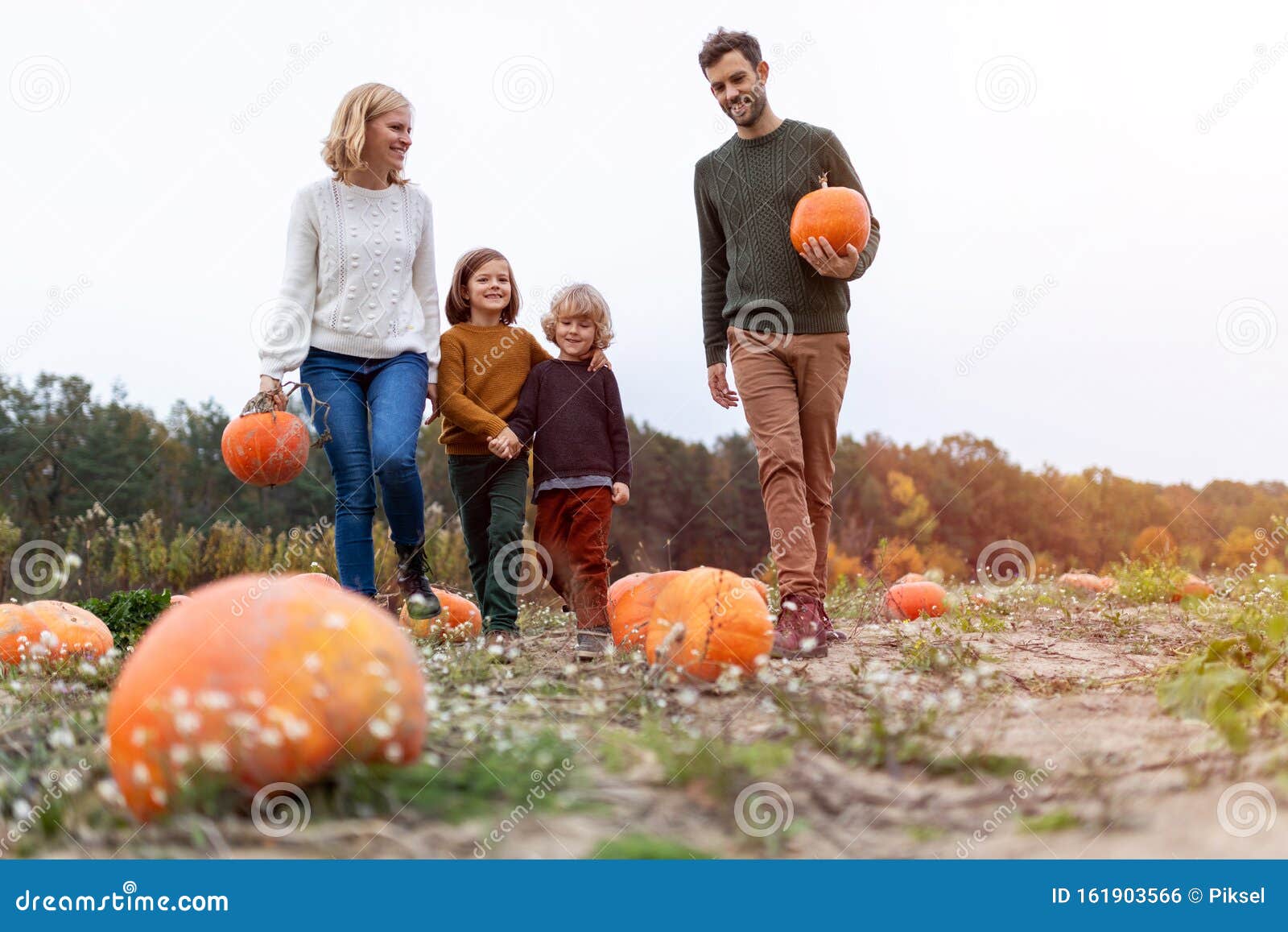 Happy Young Family in Pumpkin Patch Field Stock Photo - Image of four ...