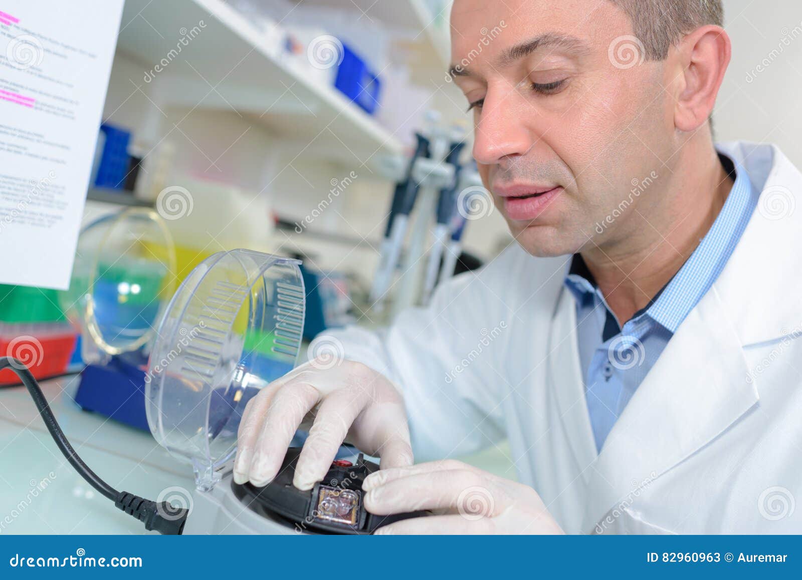 Happy Young Male Researcher Working in Lab Stock Image - Image of ...