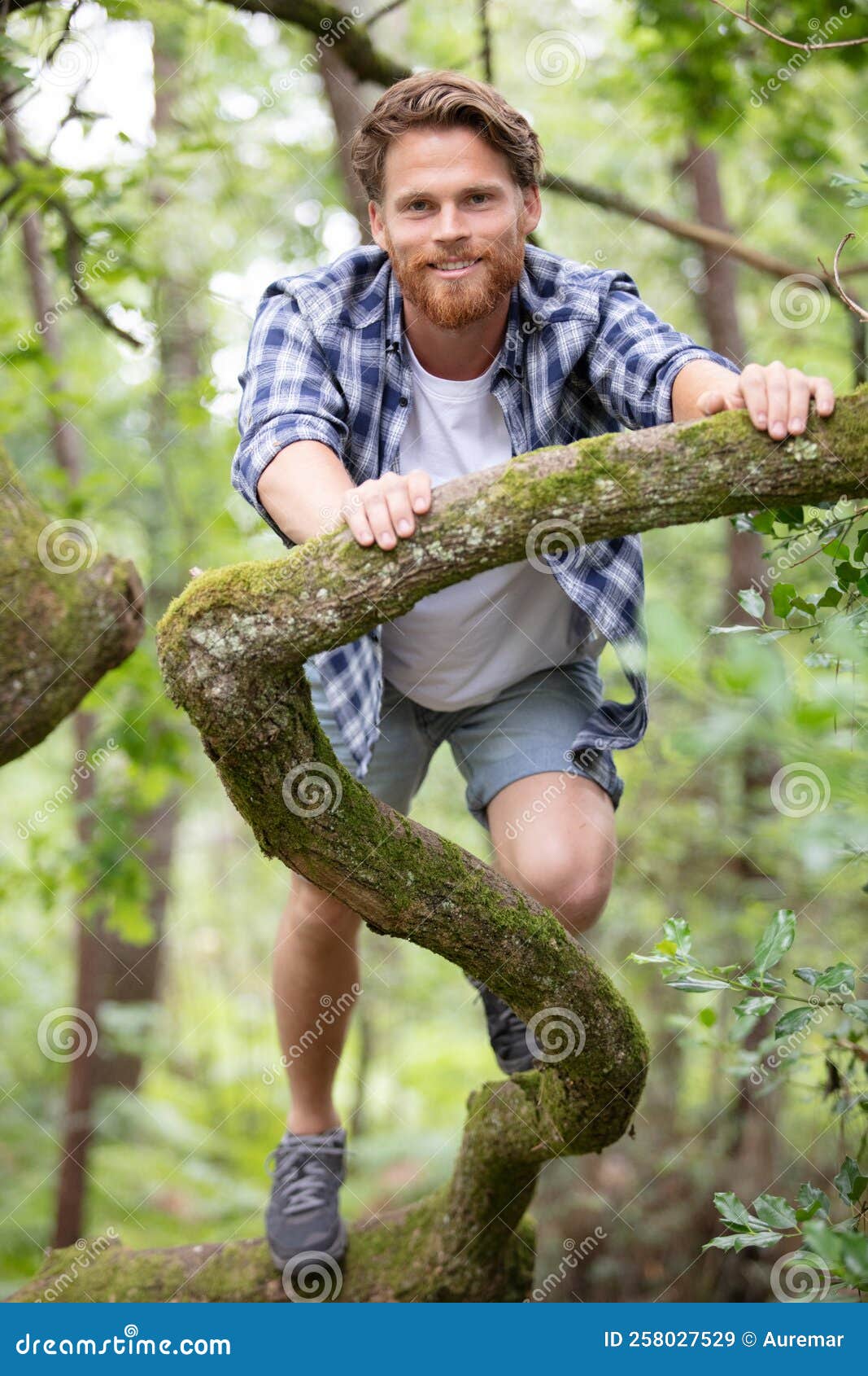 Happy Young Man Standing on Tree Stock Image - Image of environmental ...