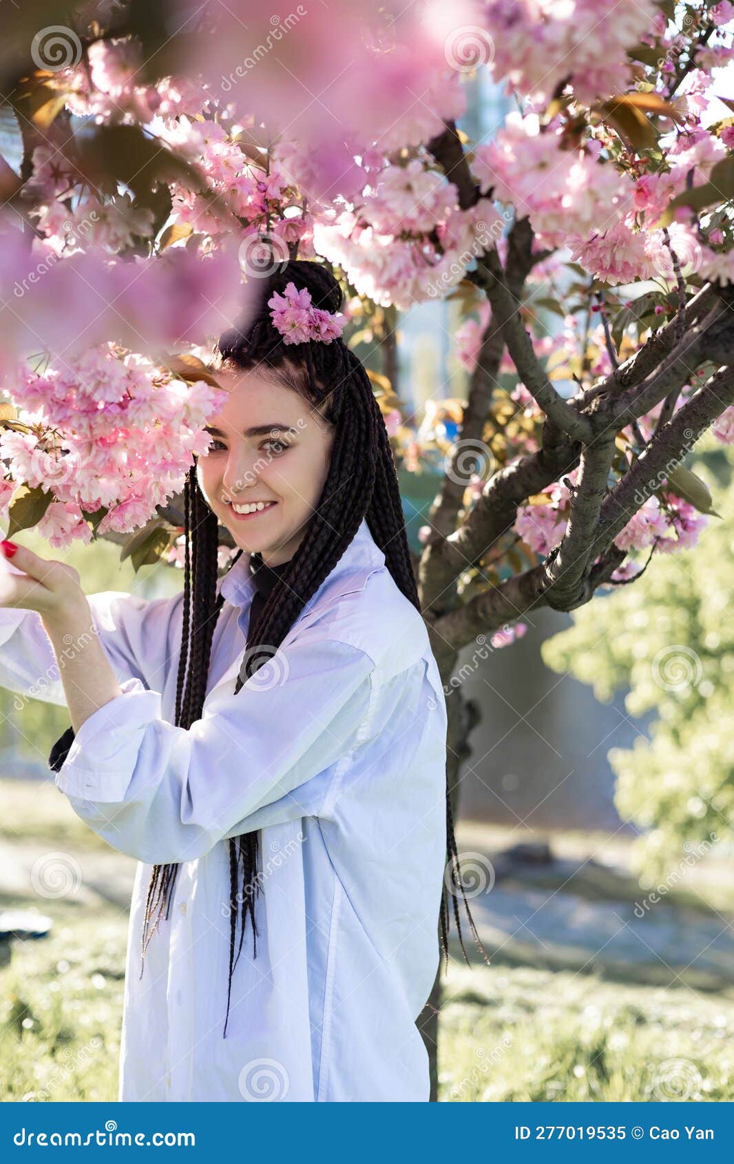 Beautiful Young Teen Girl in Spring Blooming Cherry Blossoms Garden ... Beautiful Young Teen Girl in Spring Blooming Cherry Blossoms Garden ...