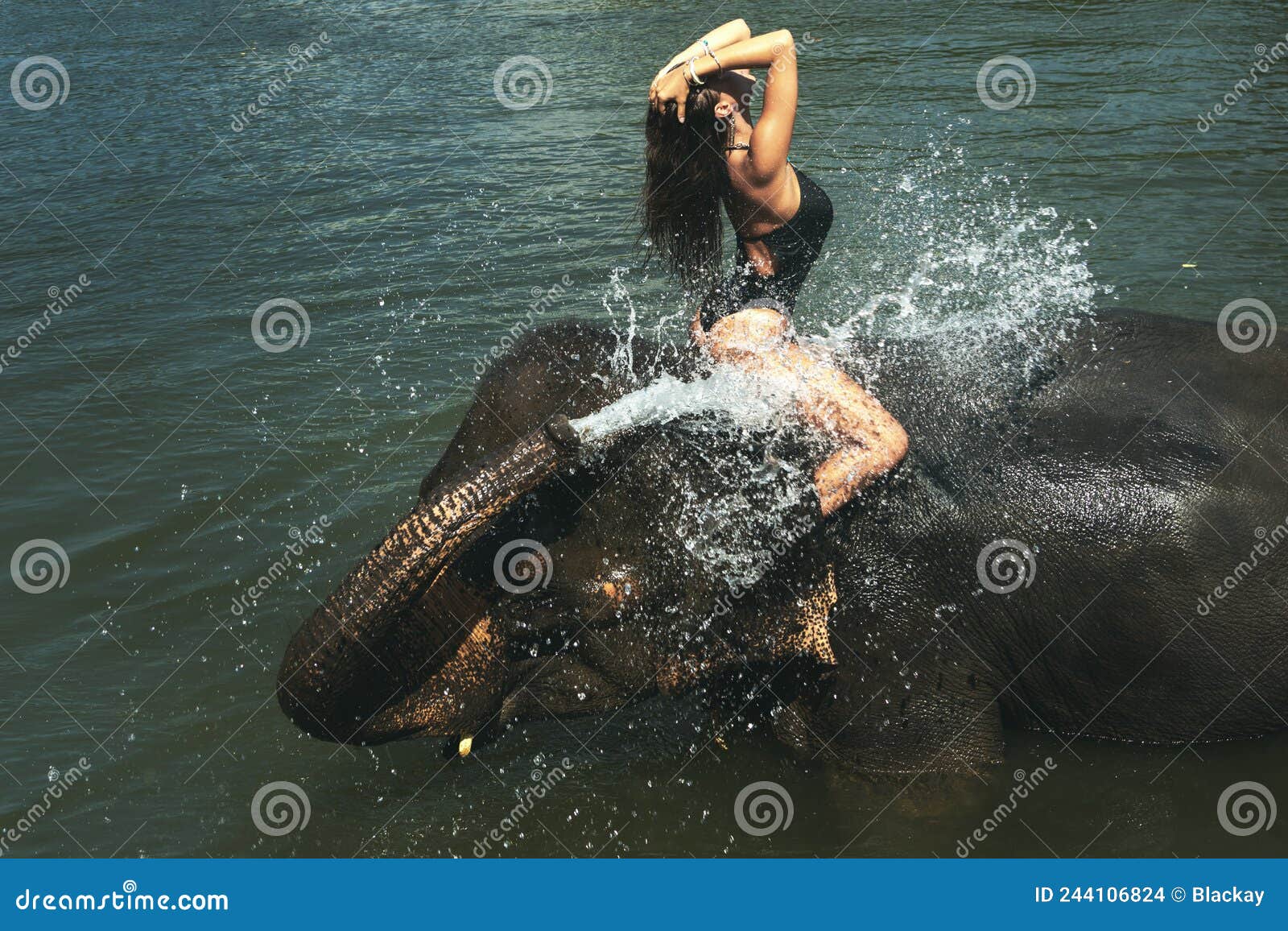 Happy Woman is Bathing with the Elephant in the River Stock Photo ...
