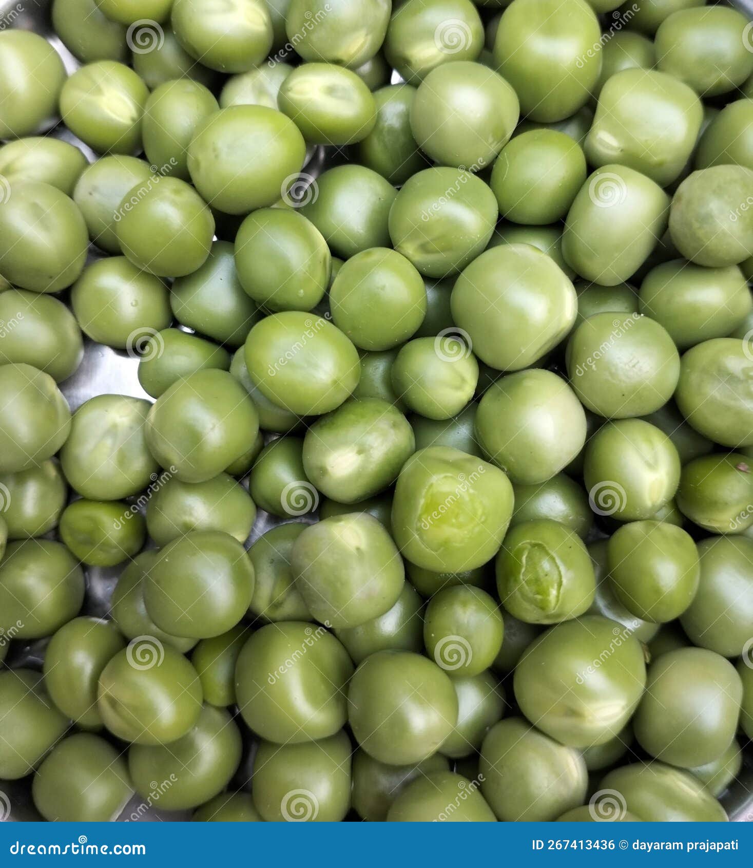 Hara matar peas stock photo. Image of peas, hara, matar - 267413436