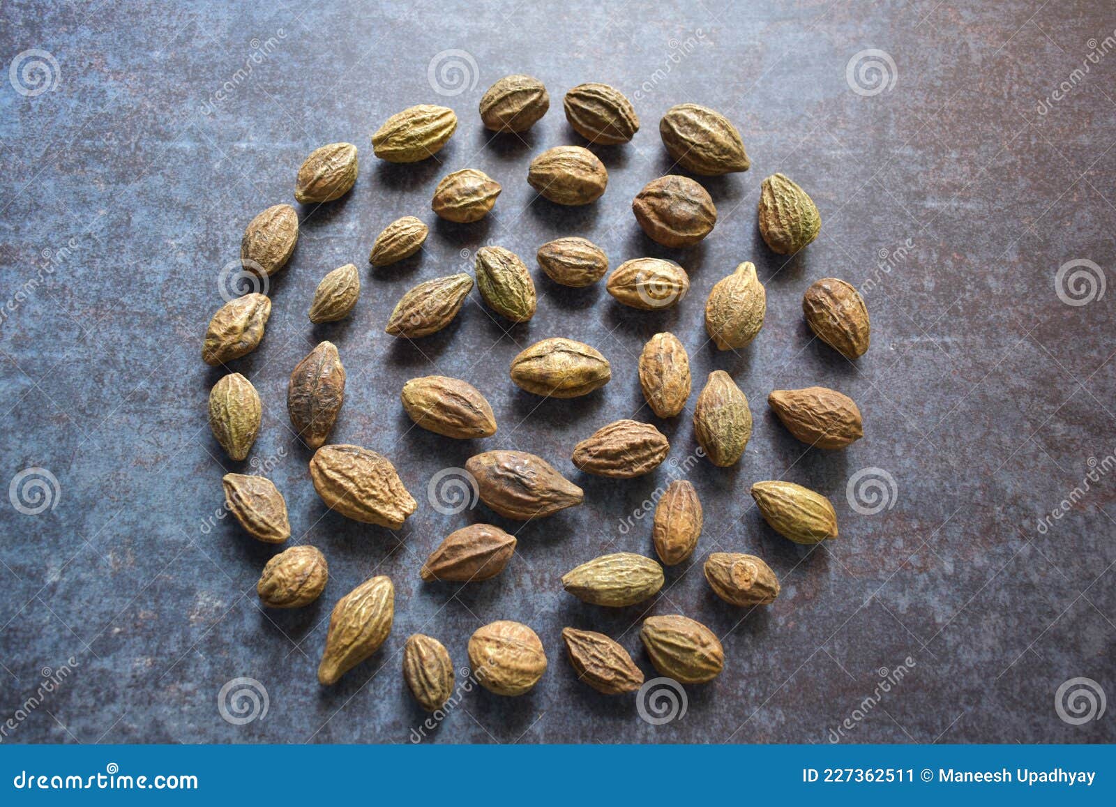 Harad fruit stock image. Image of chebula, herbs, herb - 227362511