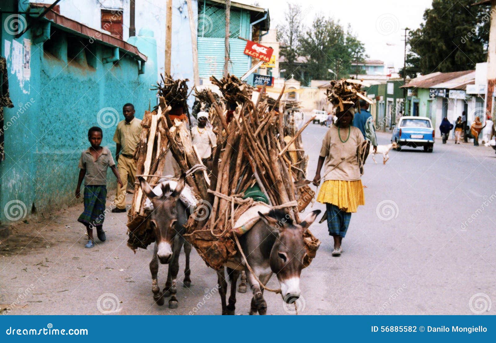Harar caravan editorial photography. Image of travel - 56885582