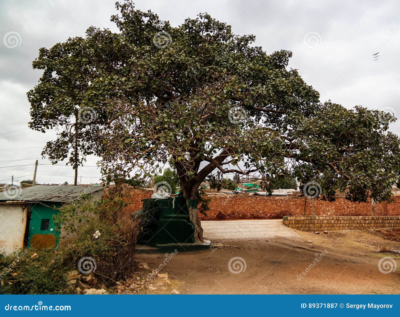 Harar Tree Mosque in Jugol Old City, Harar, Ethiopia Stock Image ...