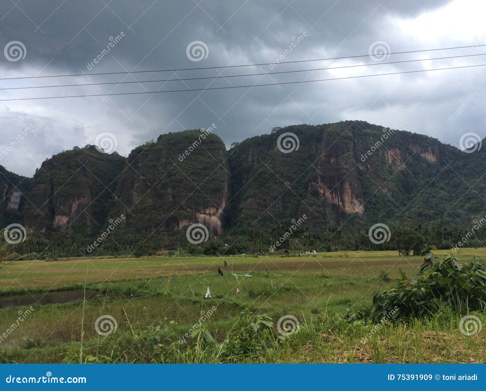 Harau valley sumbar stock image. Image of sumbar, place - 75391909