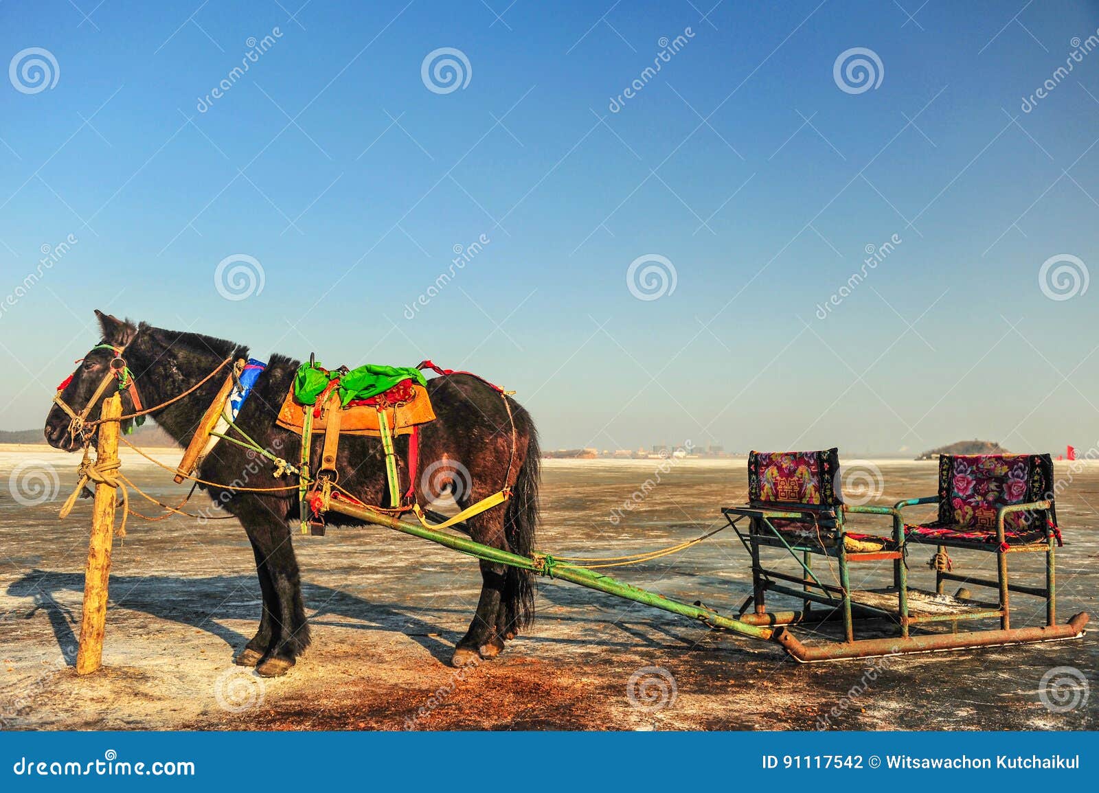 Harbin Horse Sledding stock photo. Image of sled, nature - 91117542