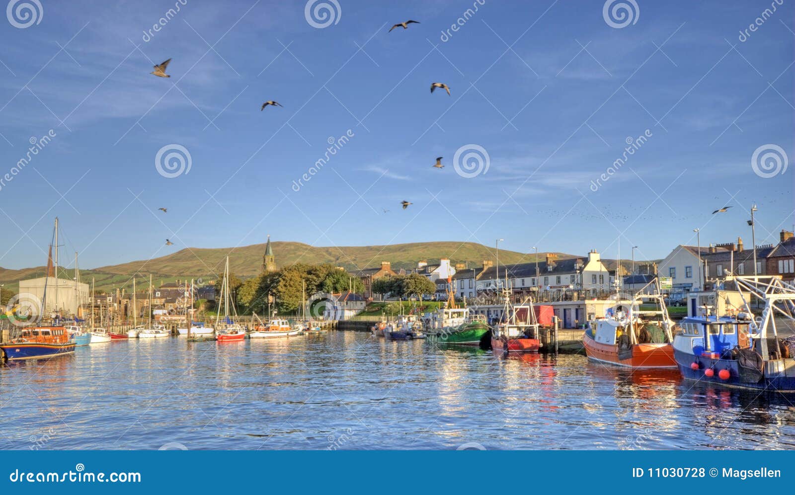 Harbor, stock photo. Image of scotland, seabirds, europe - 11030728