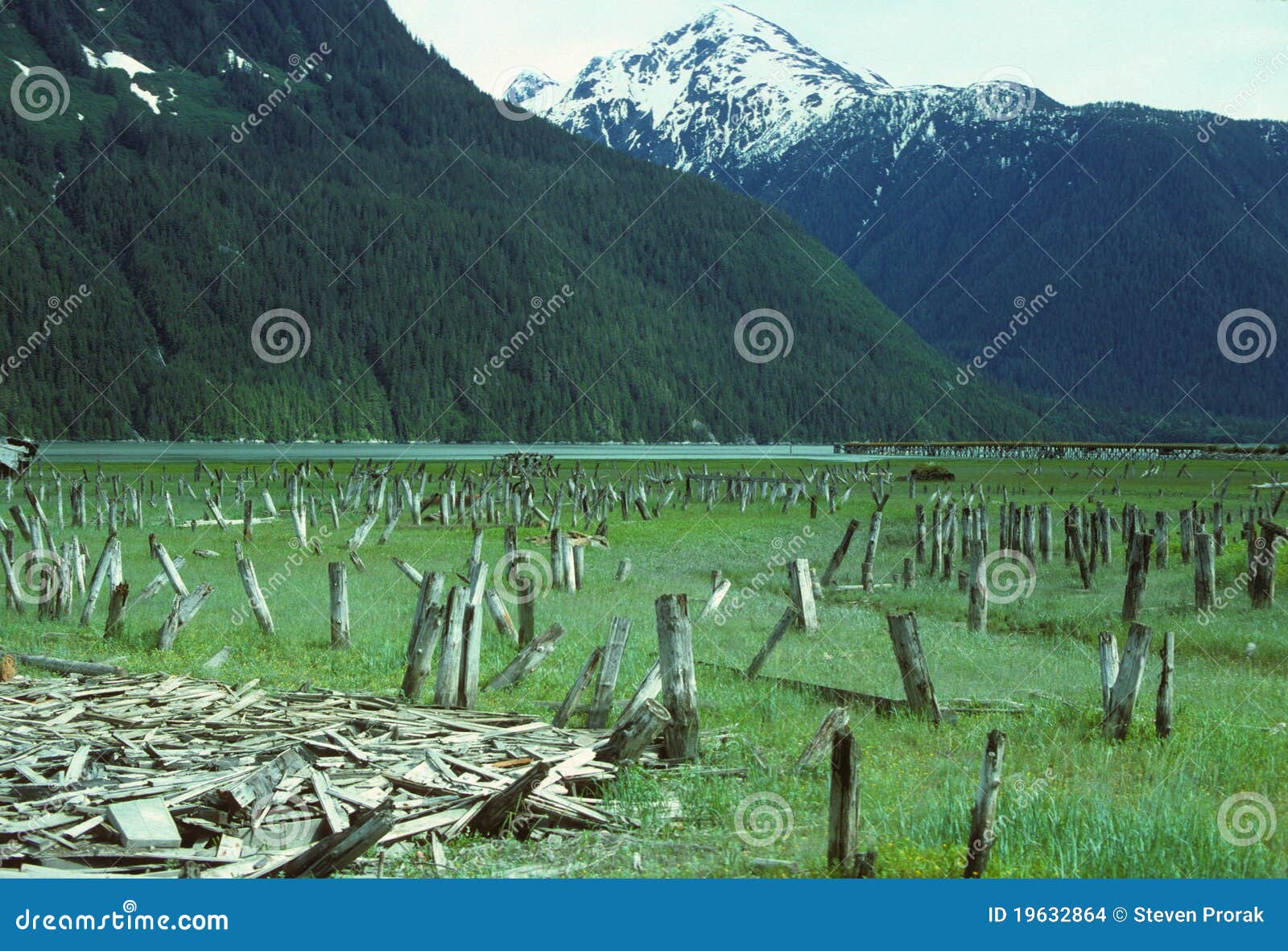Harbor Ruins in Hyder Alaska Stock Photo - Image of mountains, wharfs ...