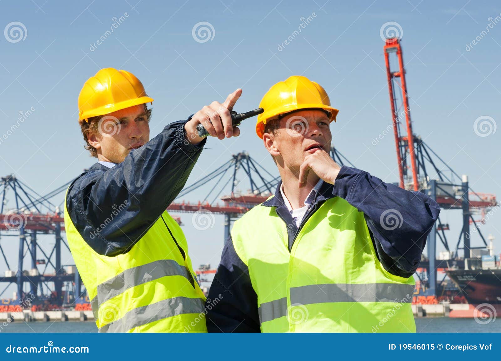 Harbor workers stock image. Image of workers, foreman - 19546015