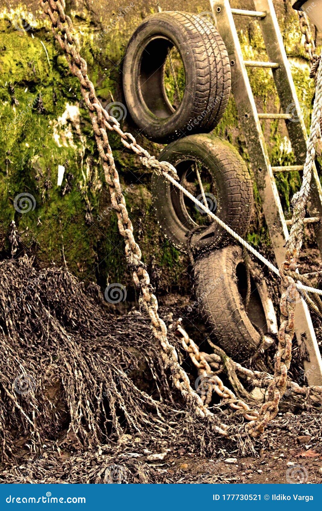 Harbour stock image. Image of chain, ship, harbour, relax - 177730521