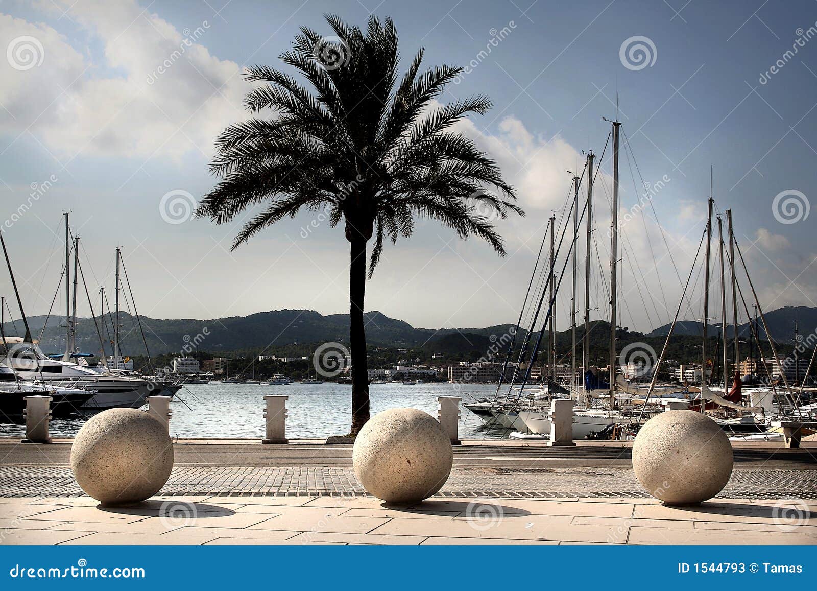 Harbour Scene with Boats and Palm Tree Stock Image - Image of holiday ...