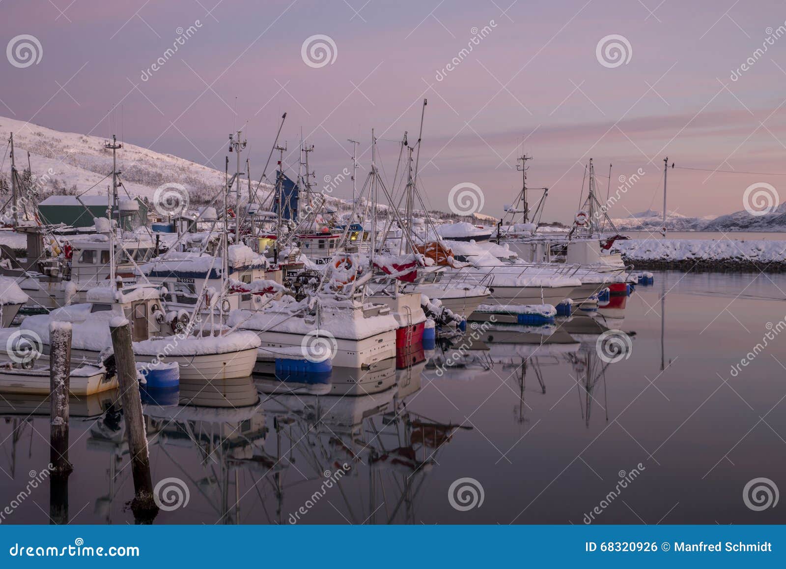 Harbour at Senja Island editorial photo. Image of architecture - 68320926