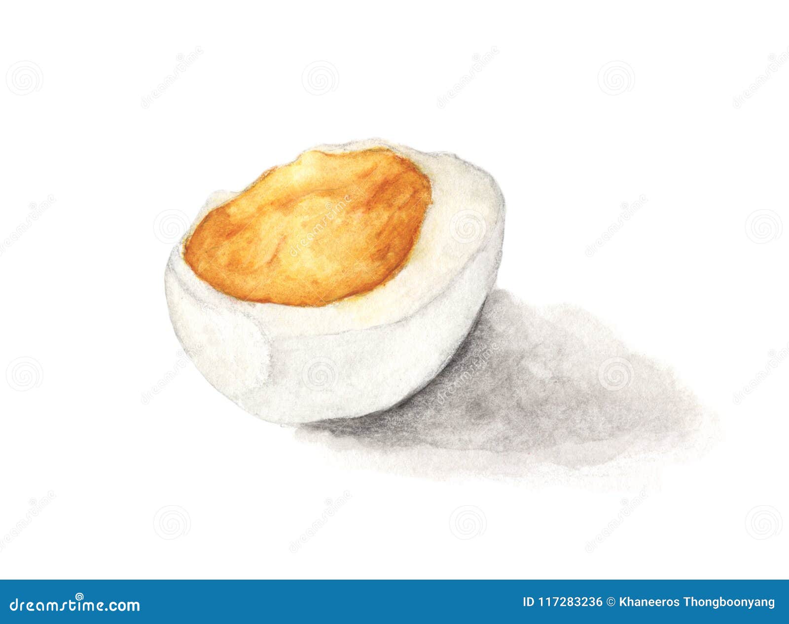 Hard Boiled Egg Isolated on White Background. Hand Drawn Watercolor ...