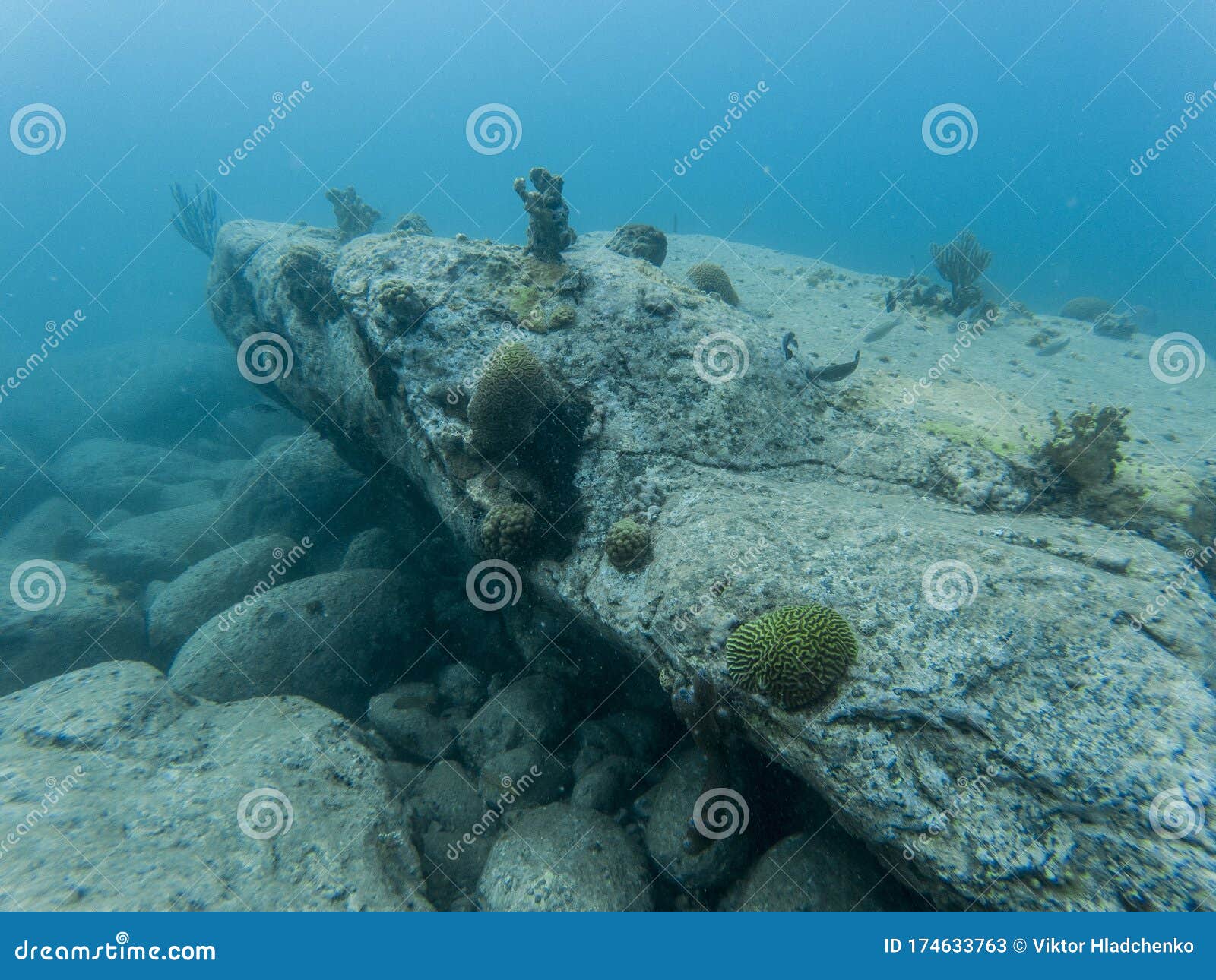 Hard Broken Corals Structure in Clear Water after Hurricane Stock Image ...