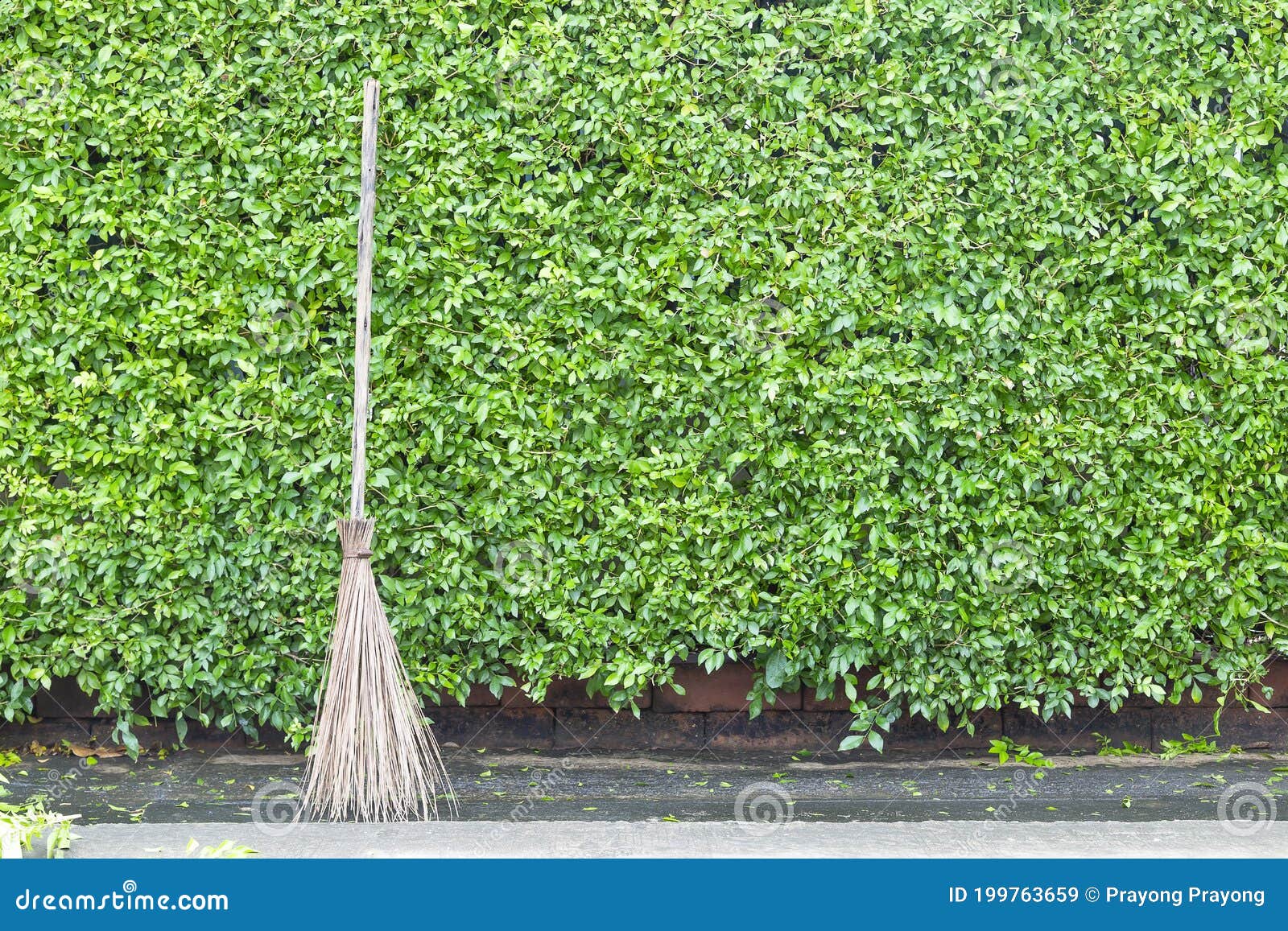 Hard Broom Place it Under the Tree Stock Image - Image of device ...