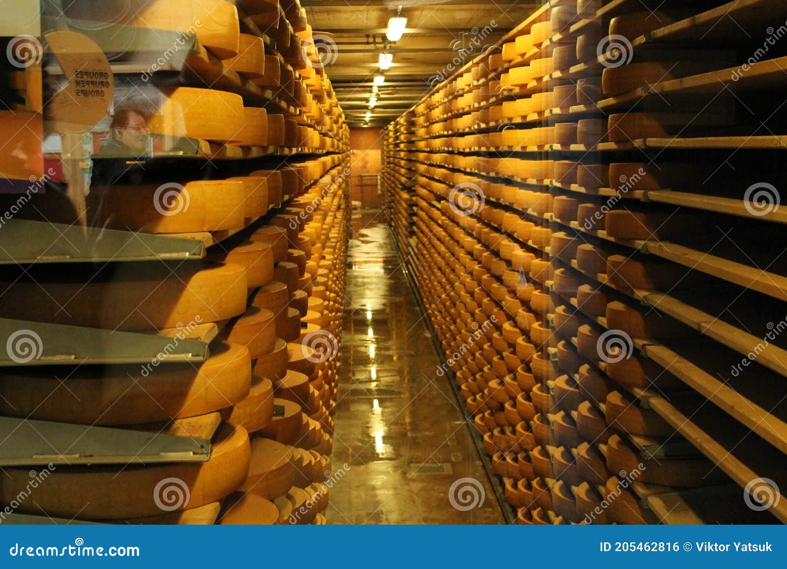 Hard Cheese Storage. Large Drying of Hard Cheese. Aged Hard Cheese ...