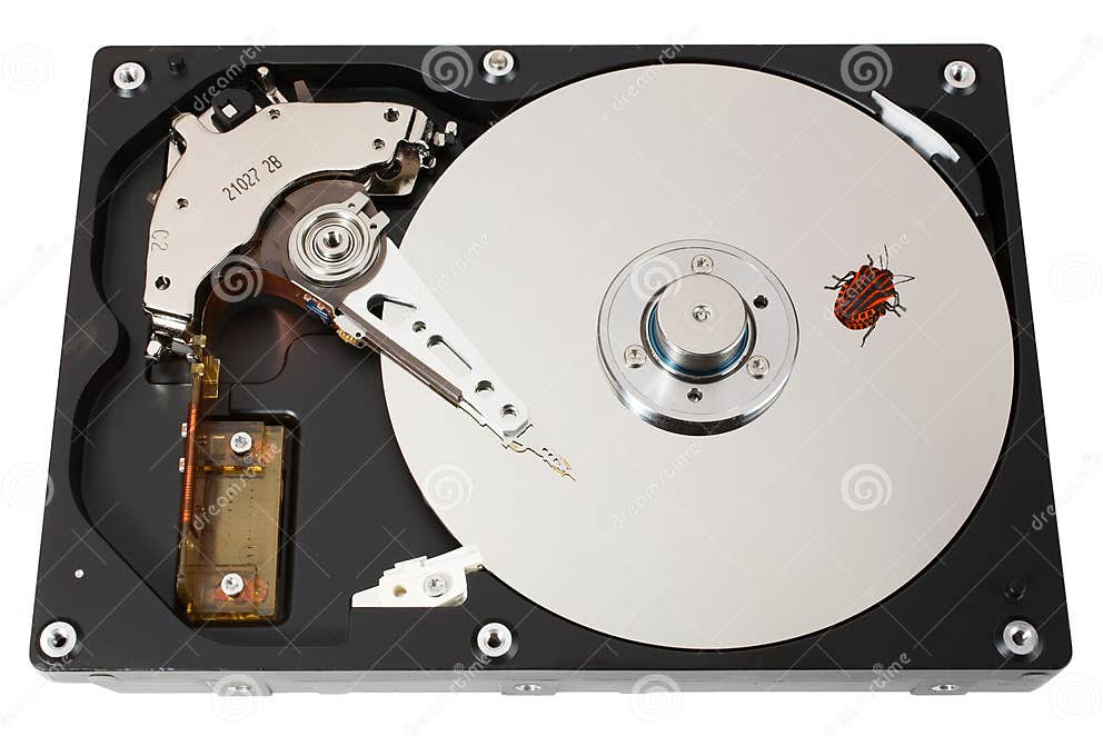 Hard disk, bug, one stock image. Image of hard, disk, animal - 5467137