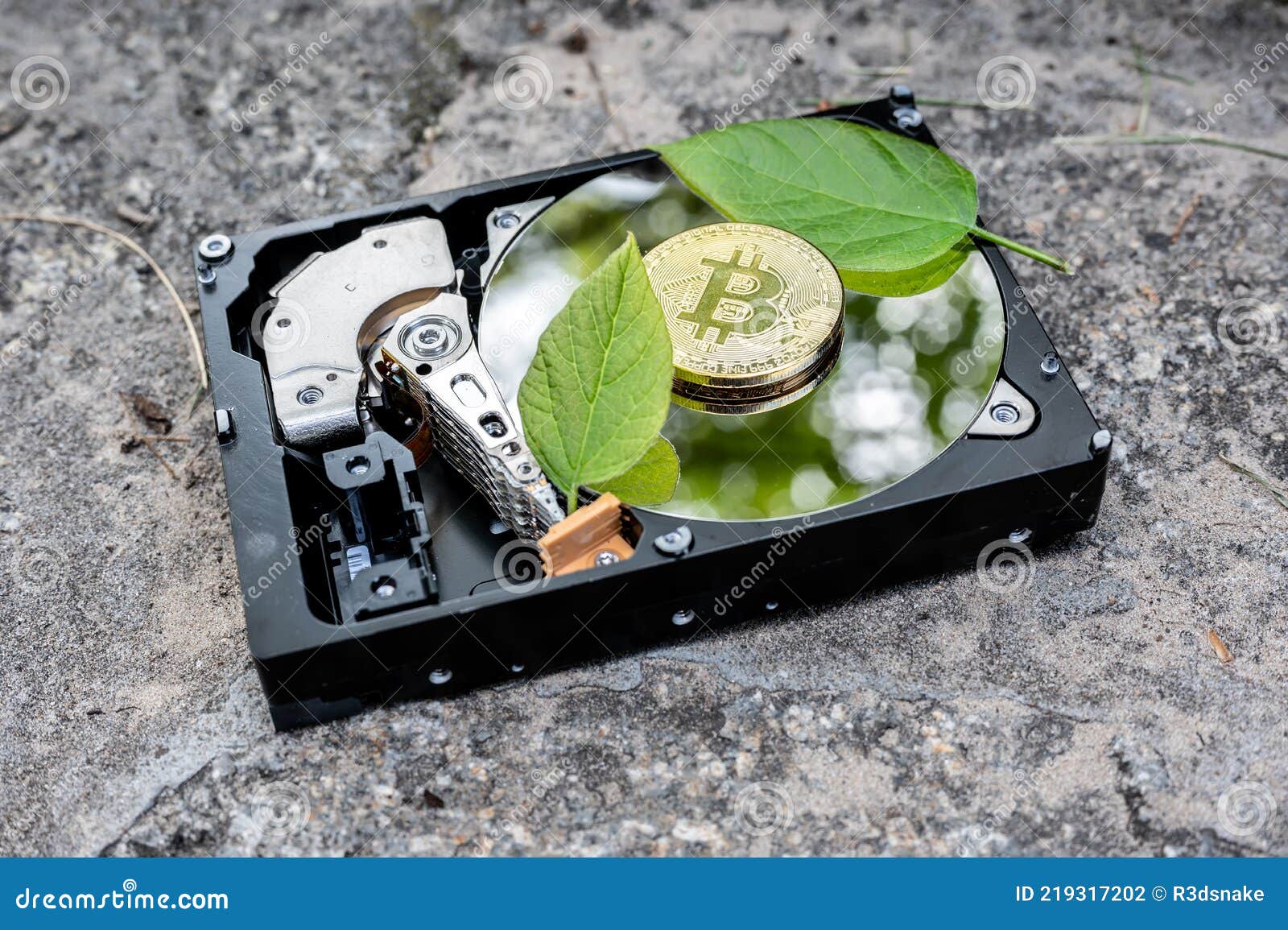 Hard Disk Drive with a Bitcoin and a Chia Leaf on a Concrete Surface ...