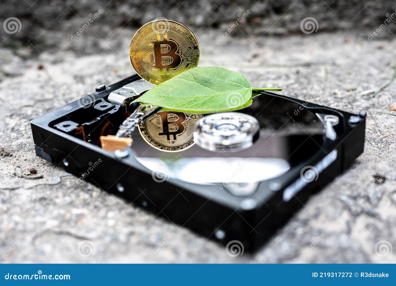 Hard Disk Drive with a Bitcoin and a Chia Leaf on a Concrete Surface ...