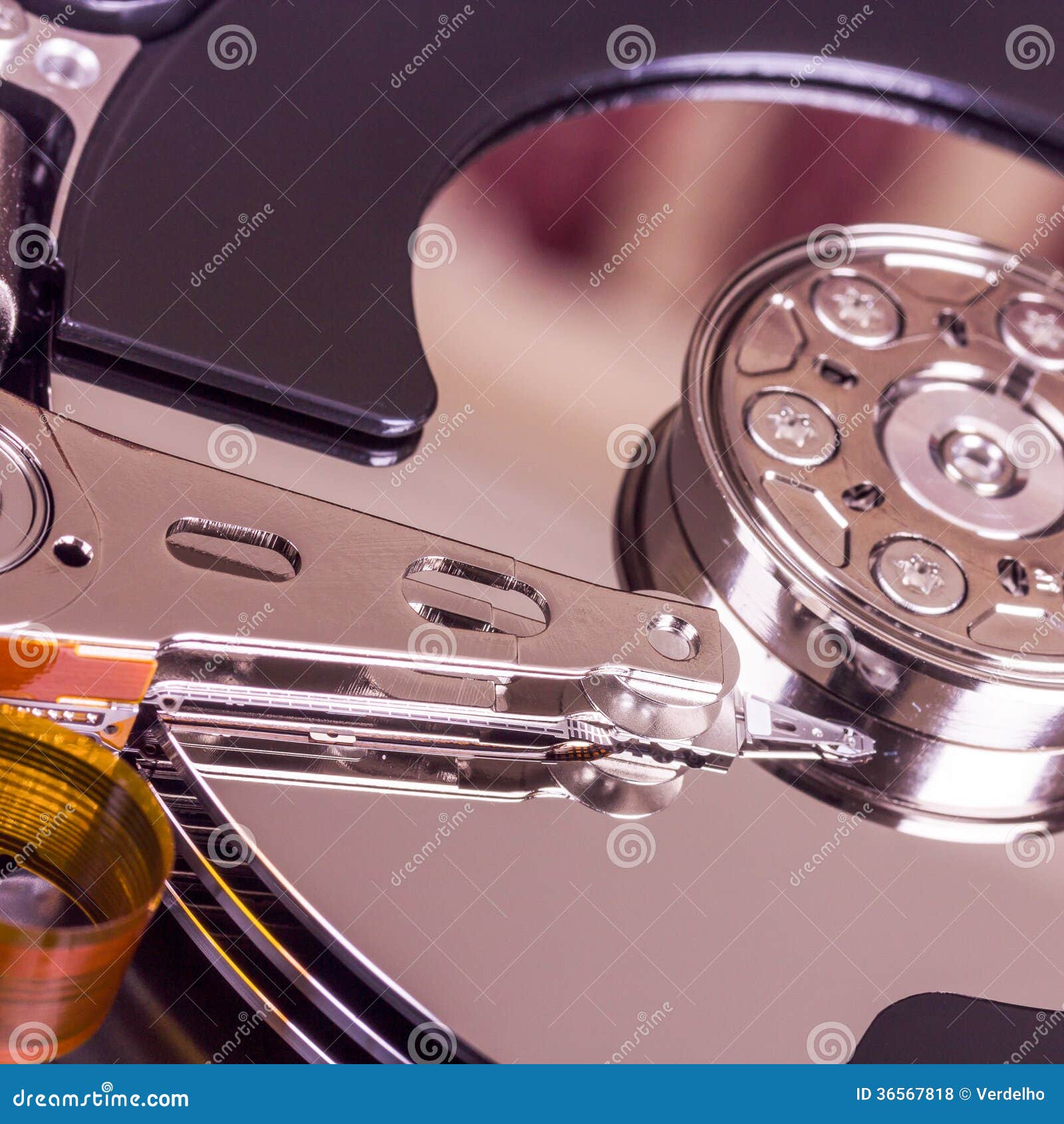 Hard Disk Drive Internal Components Stock Photo - Image of heads, hard ...