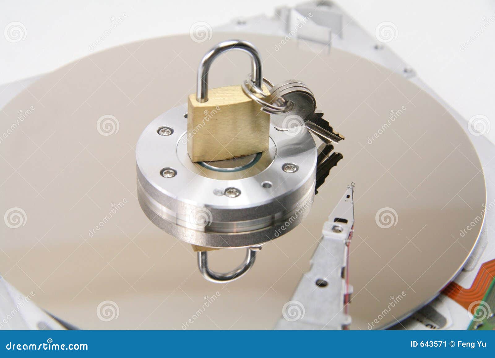 Hard Disks Details and Lock Stock Image - Image of drive, diskdrive: 643571