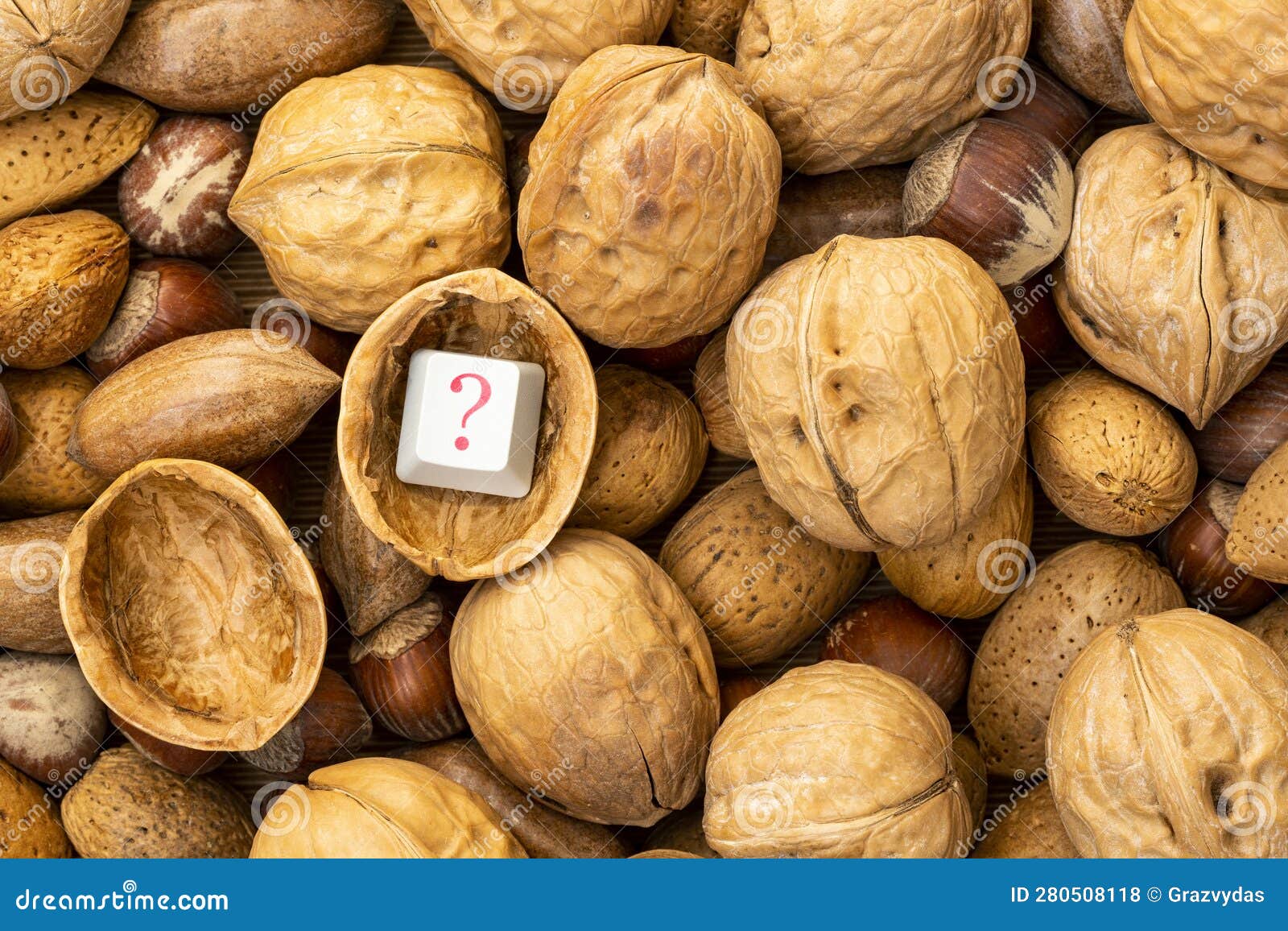 The Computer Keyboard Key with a Question Mark in the Shell of a Nut ...