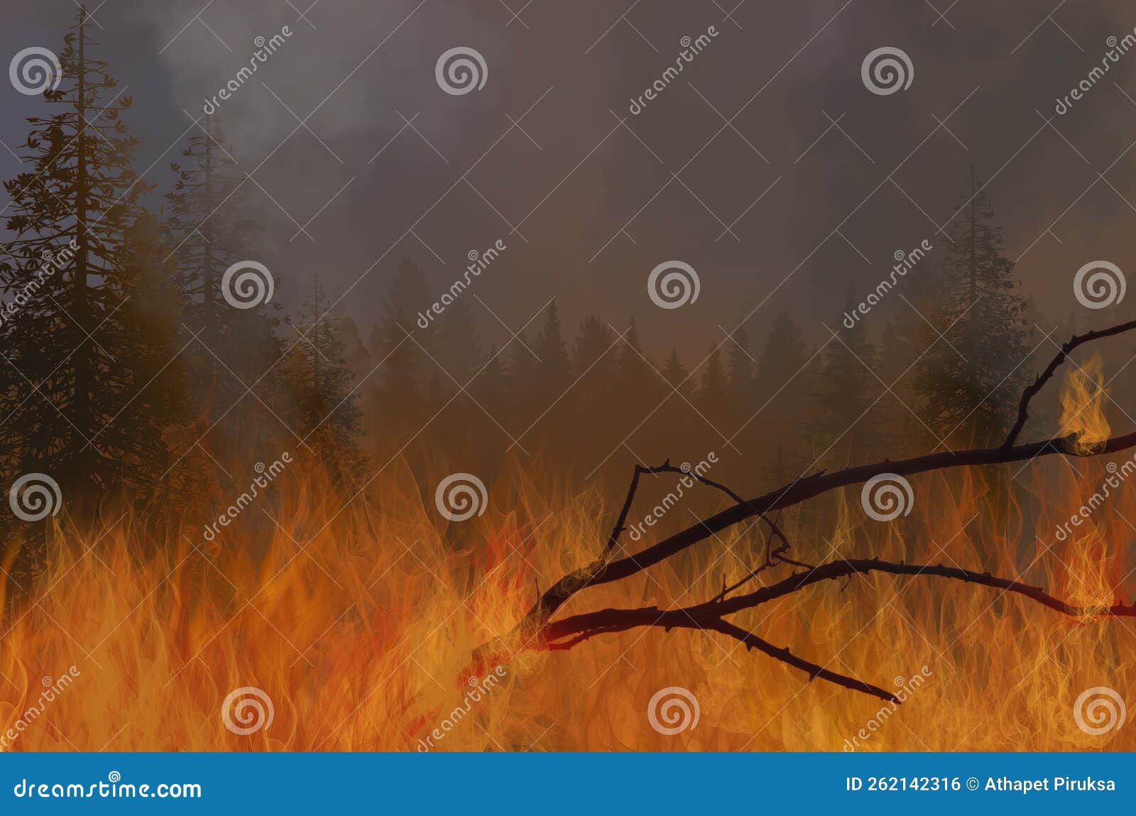 Hard Fire Desrtoy Temperate Forest in the Summer Stock Photo - Image of ...