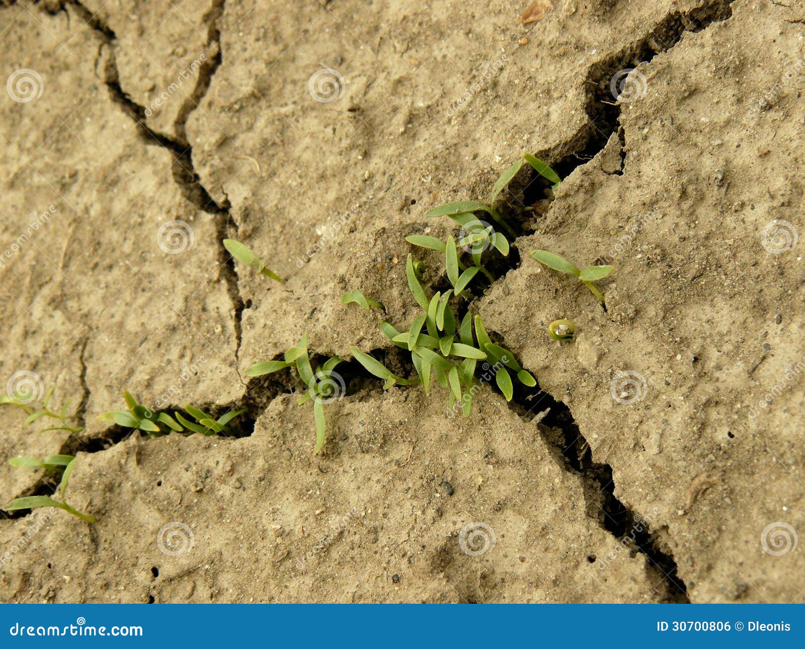 Hard ground stock photo. Image of earth, chinese, fresh - 30700806