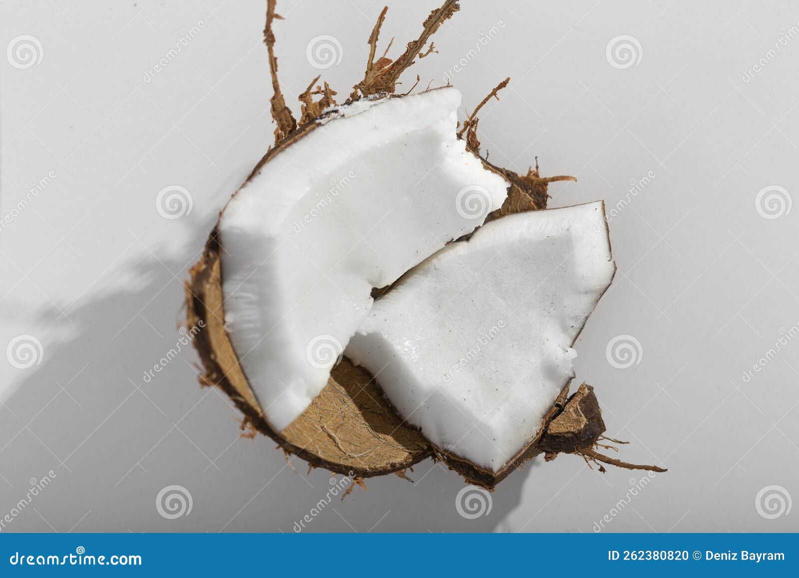 Hard Light White Background Coconut and Shell Stock Photo - Image of ...