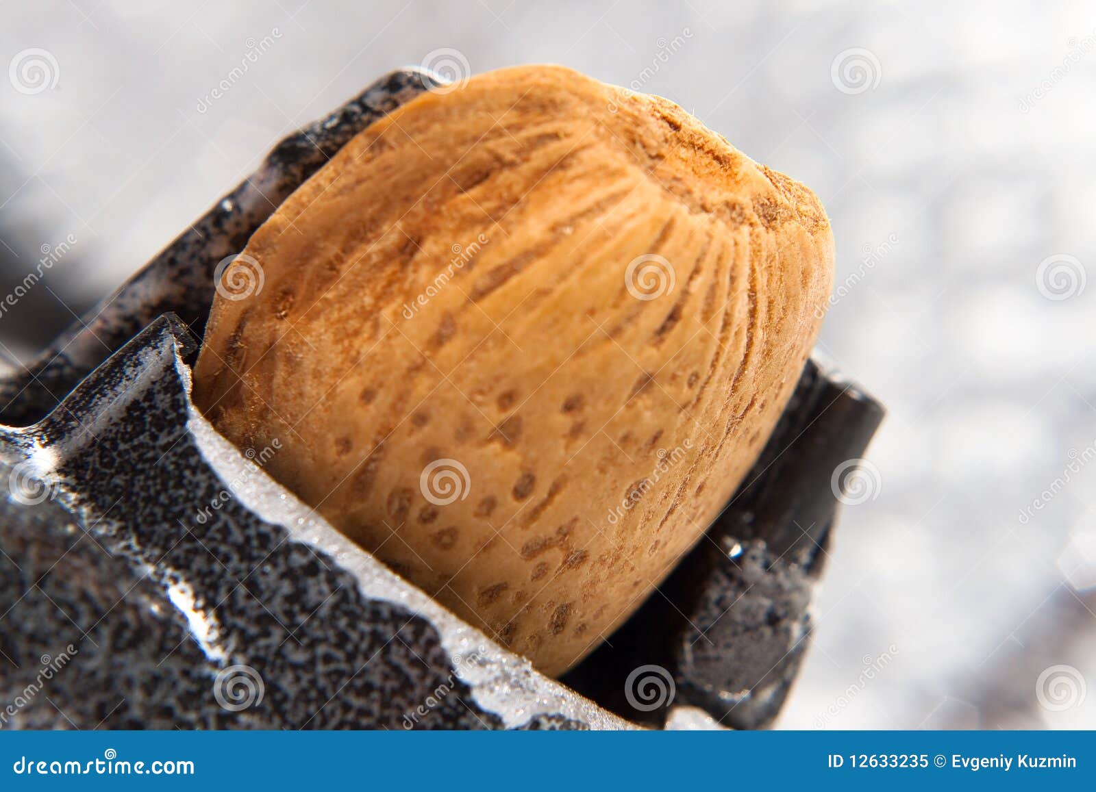 Hard Nut Macro stock image. Image of break, gripper, instrument - 12633235