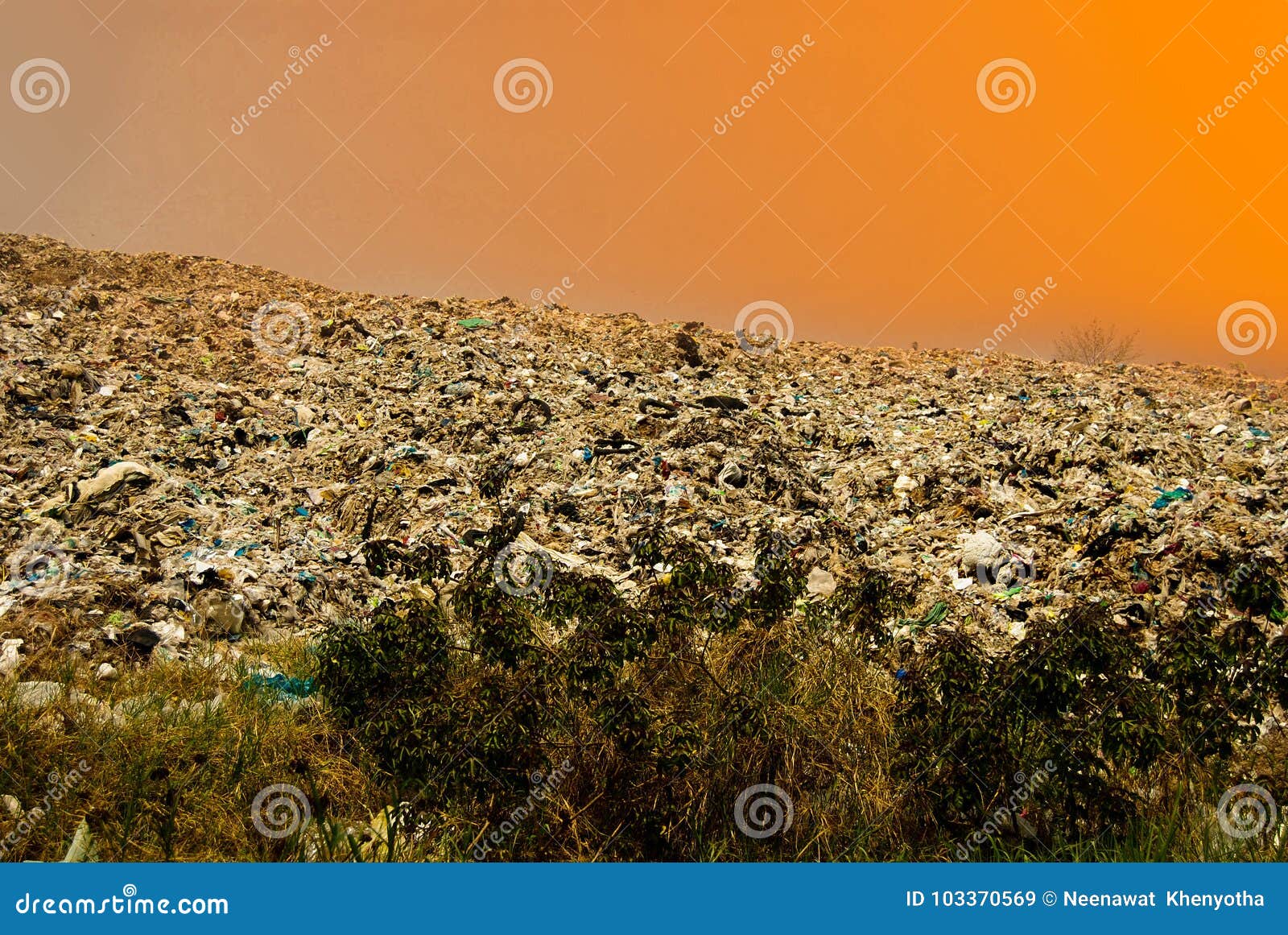 Hard Plastic Garbage Decomposition. Pollution from the Consumer Society ...