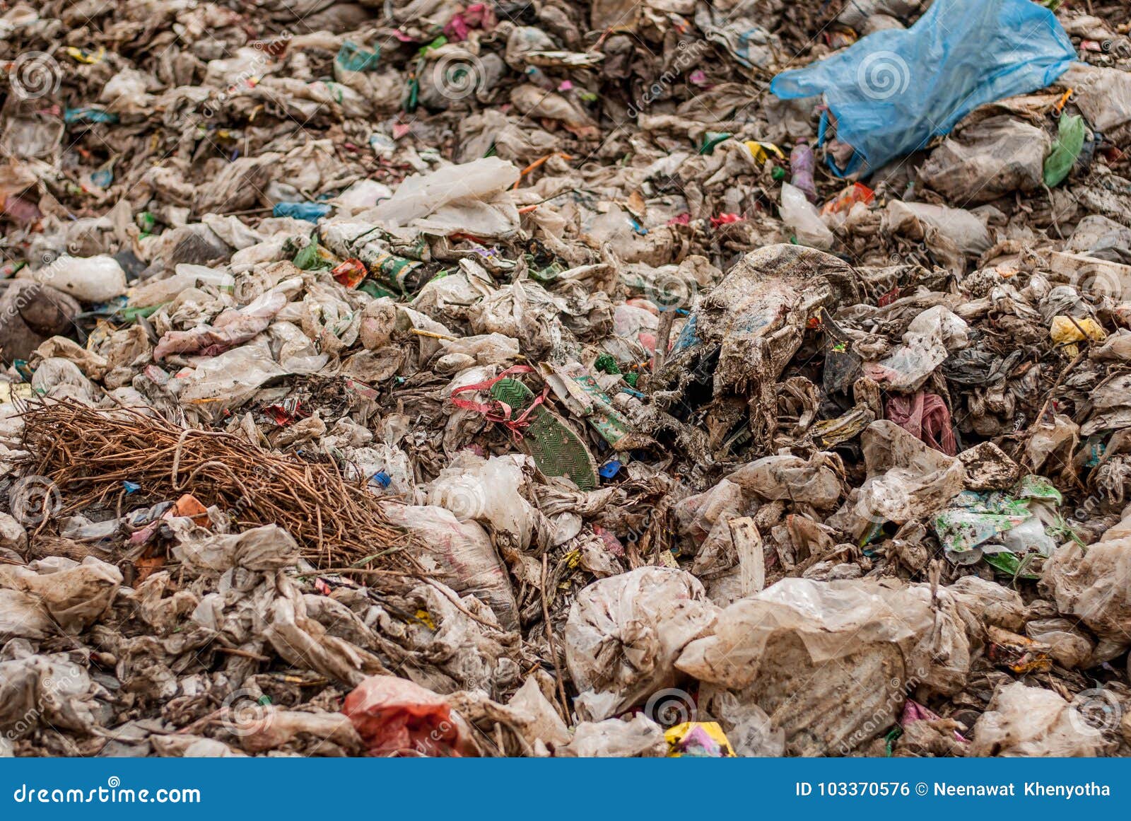 Hard Plastic Garbage Decomposition. Pollution from the Consumer Society ...