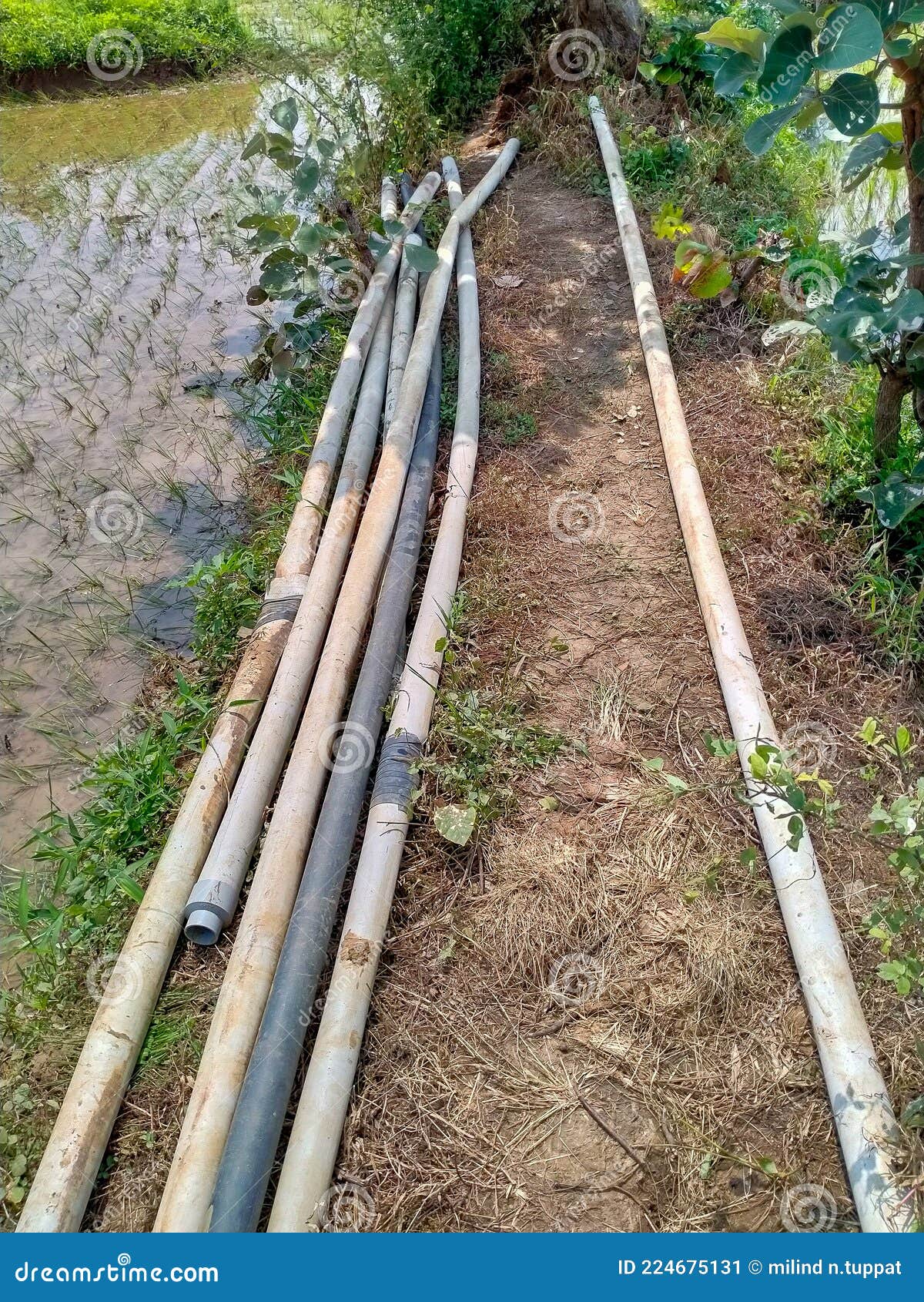 Hard Plastic Pipes in Farm. Stock Image - Image of farm, pipe: 224675131