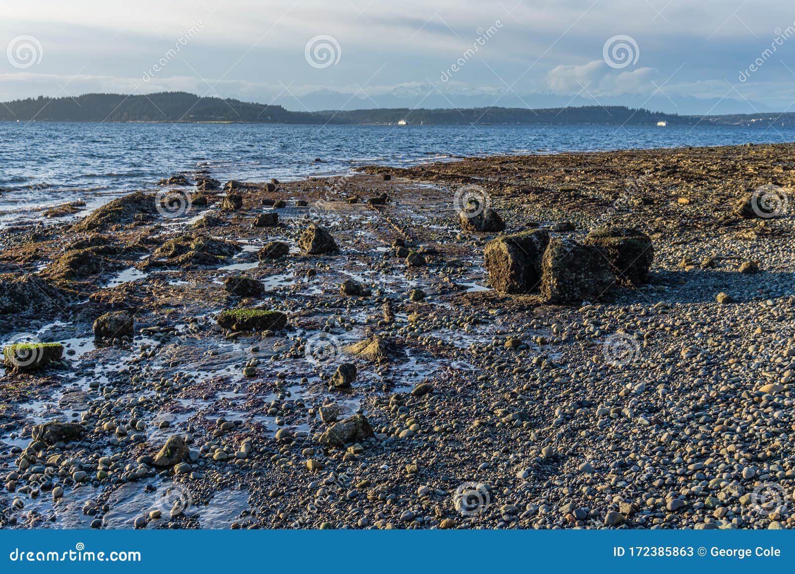 Hard Rock Shoreline stock image. Image of landscape - 172385863