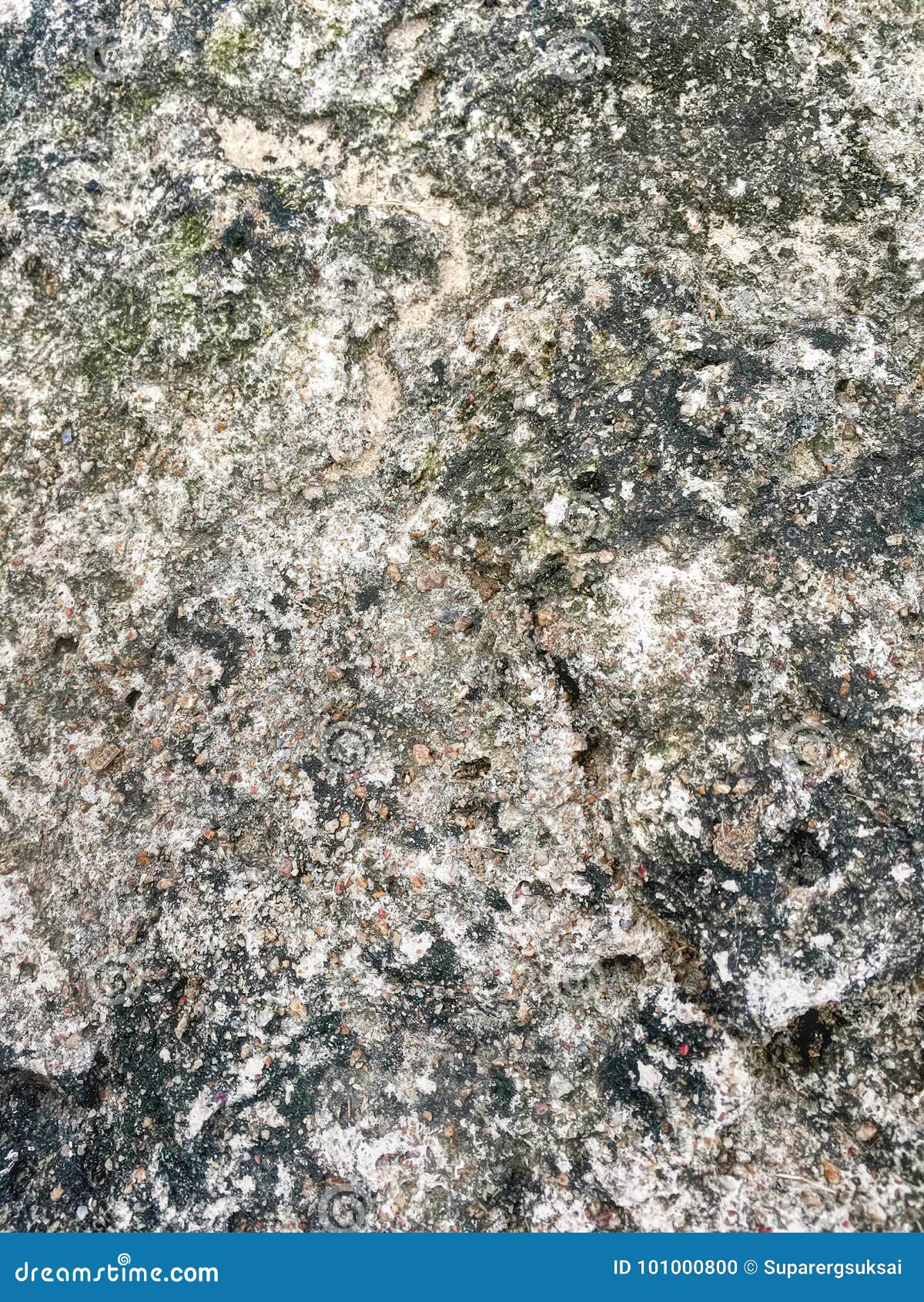 Rock Surface Texture stock photo. Image of geology, texture - 101000800